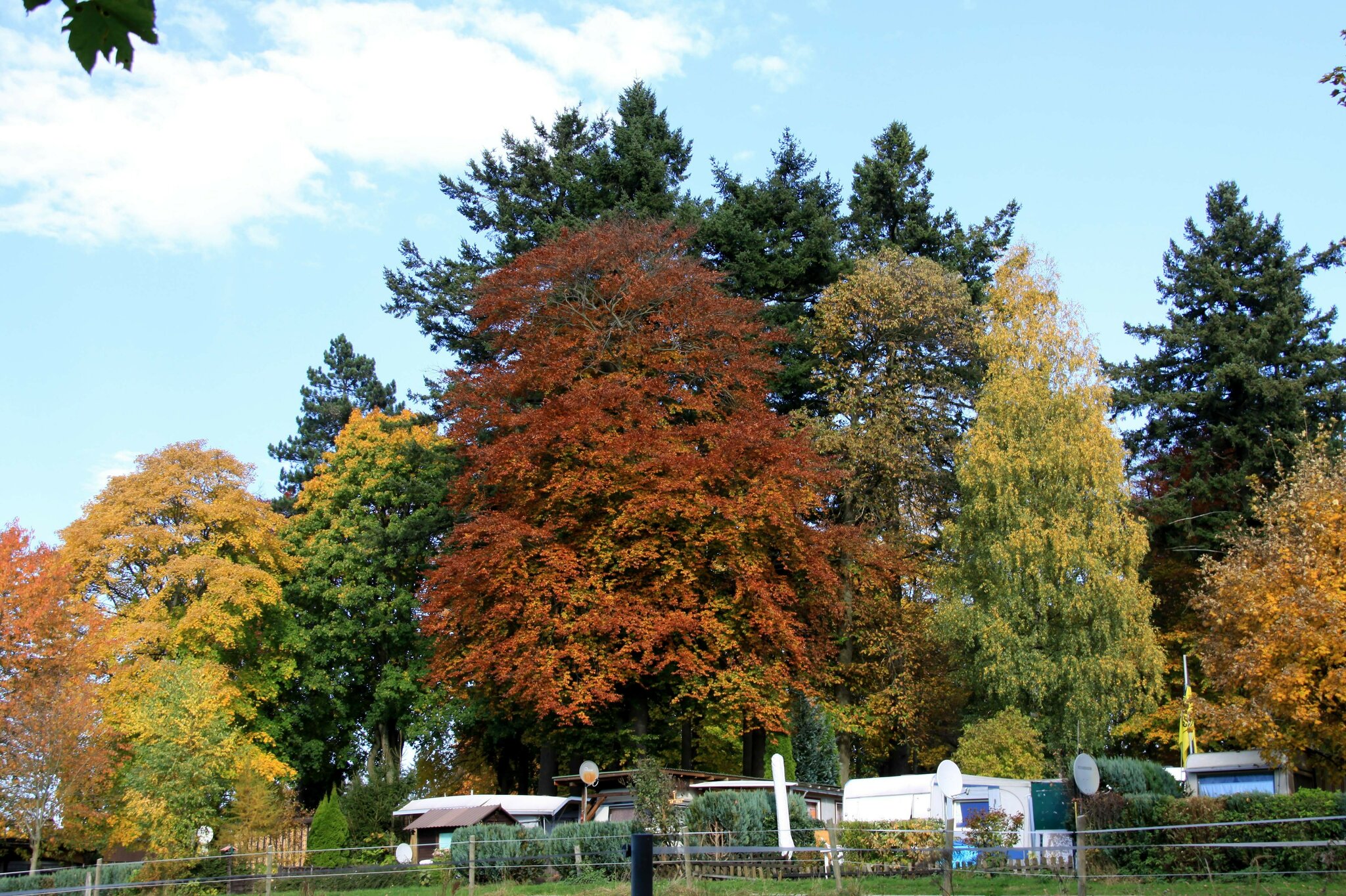 Herbstspaziergang durch das Arboretum `Bad Grund - WeltWald Harz - Bad ...