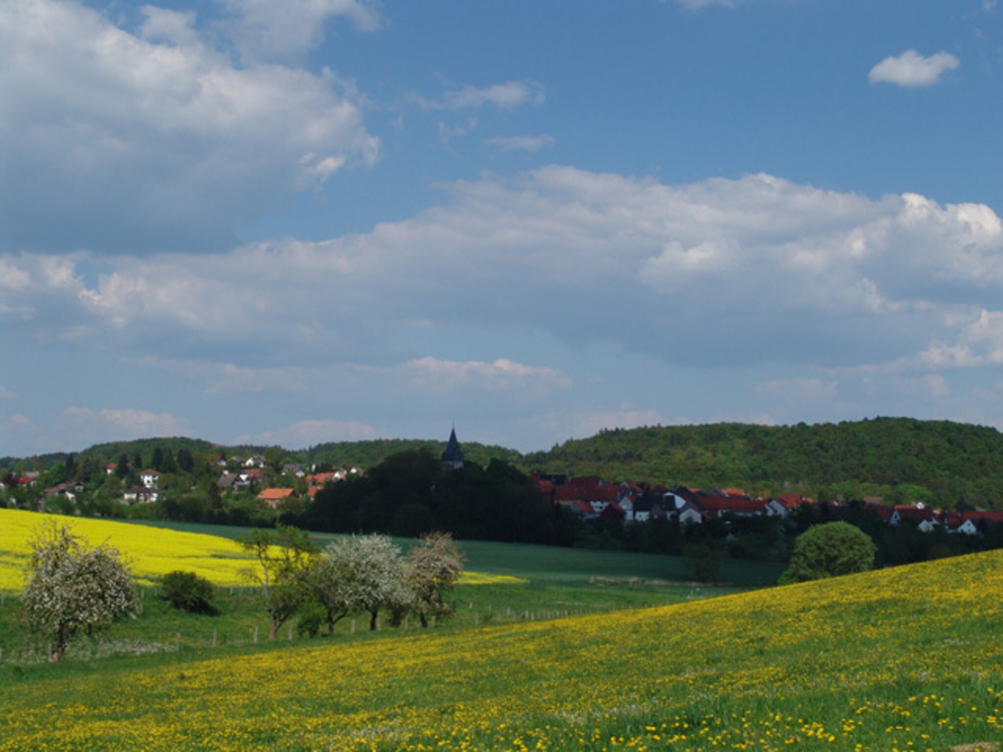 Sachsenberg als "Dorf für Kunst 2013" nominiert - Lichtenfels (HE)