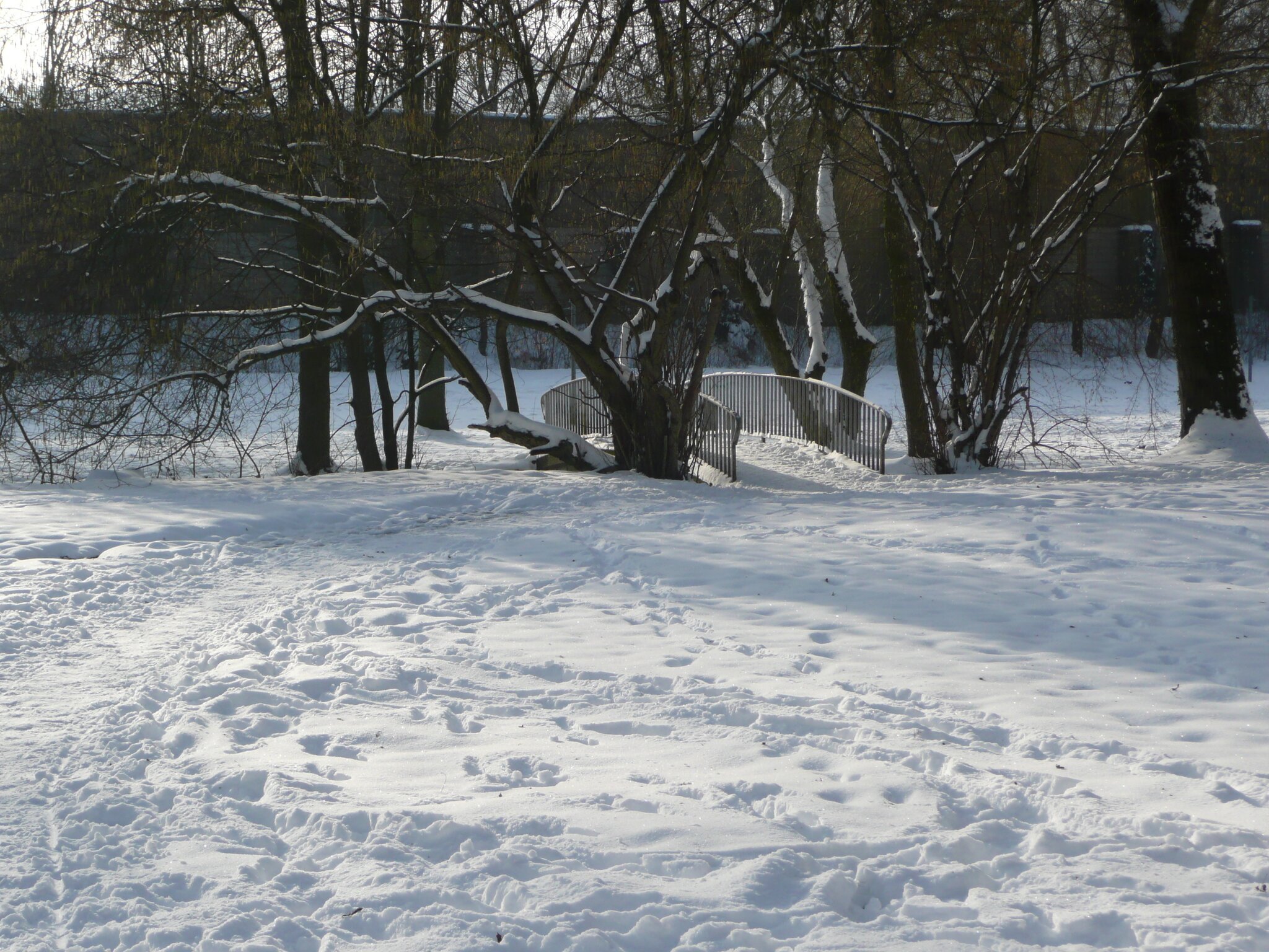 Winterimpressionen im Springer Volkspark - Springe