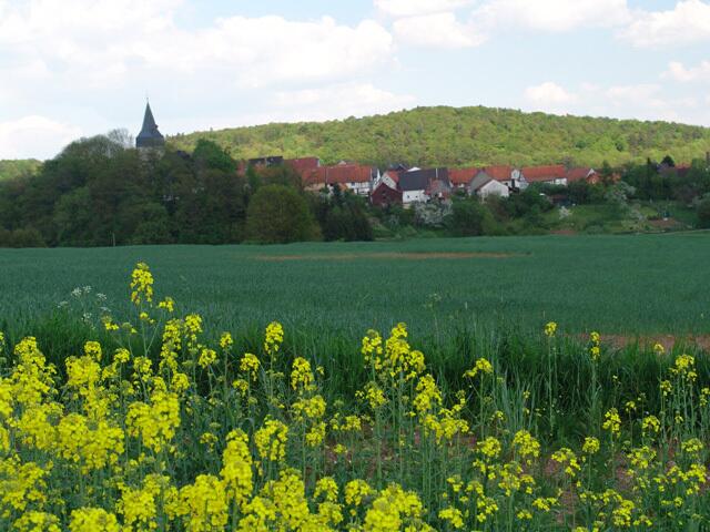 Sachsenberg als "Dorf für Kunst 2013" nominiert - Lichtenfels (HE)