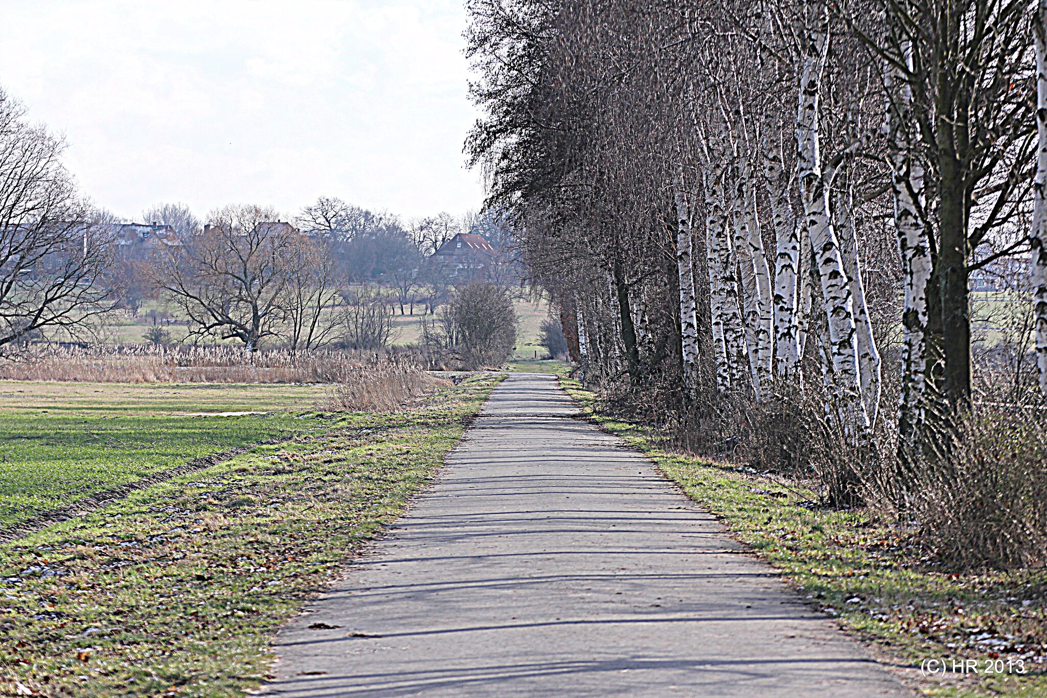 Wandern in Isernhagen: Der Frühling kommt mit neuen Facetten!! - Isernhagen
