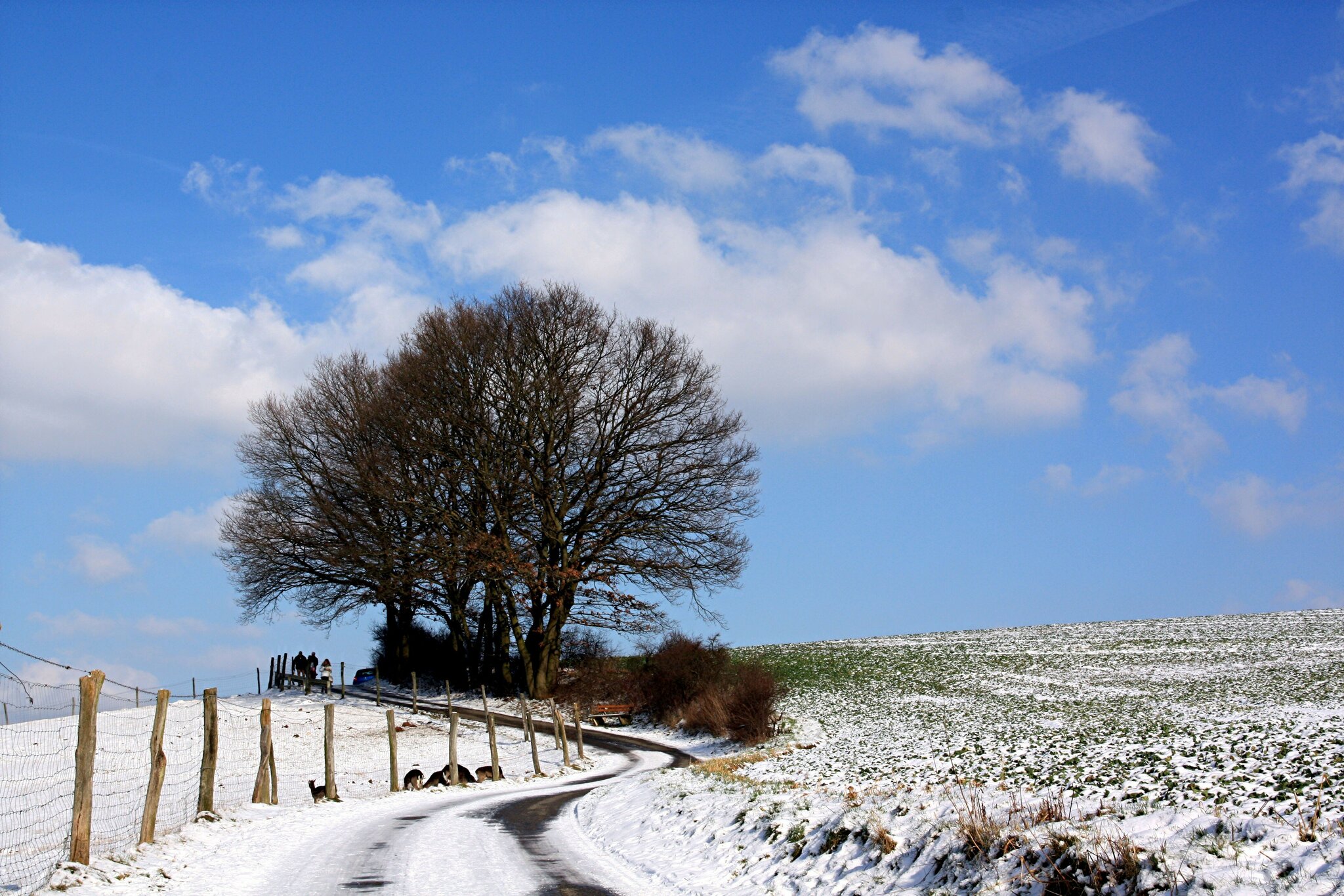 Sonntagsbilder Februar 2013 - Rückblick auf das Wetter im Februar 2013 ...