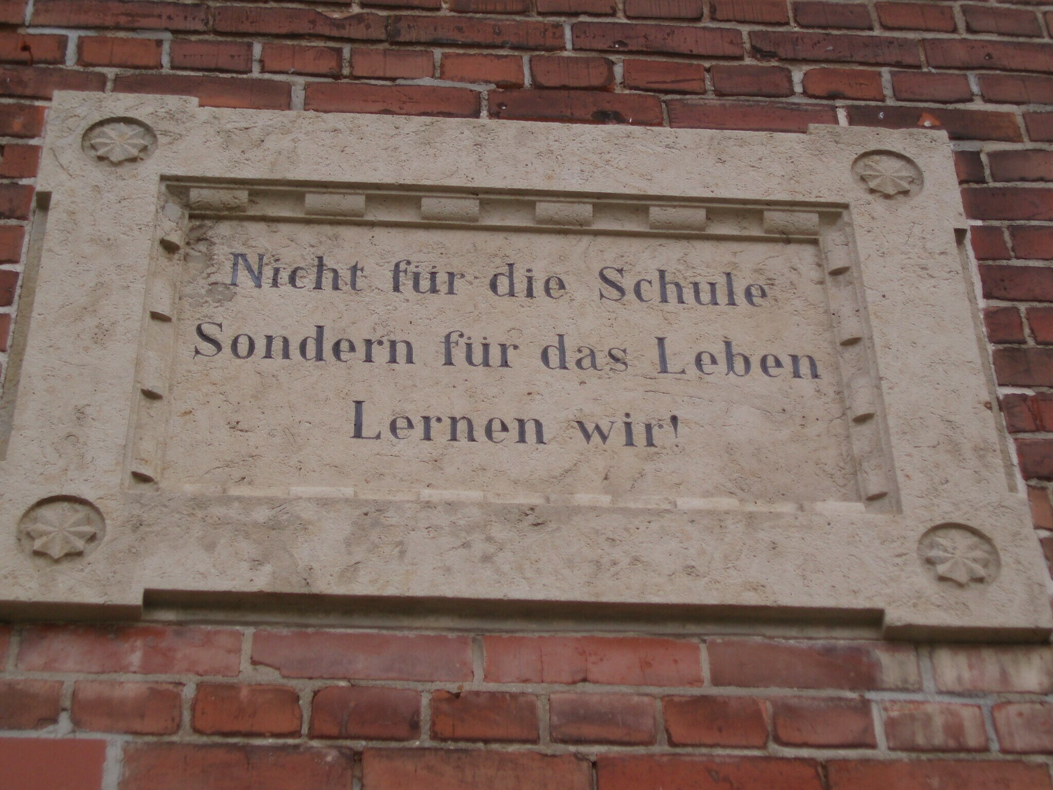 Nicht für die Schule, sondern für das Leben lernen wir! - Prießnitz