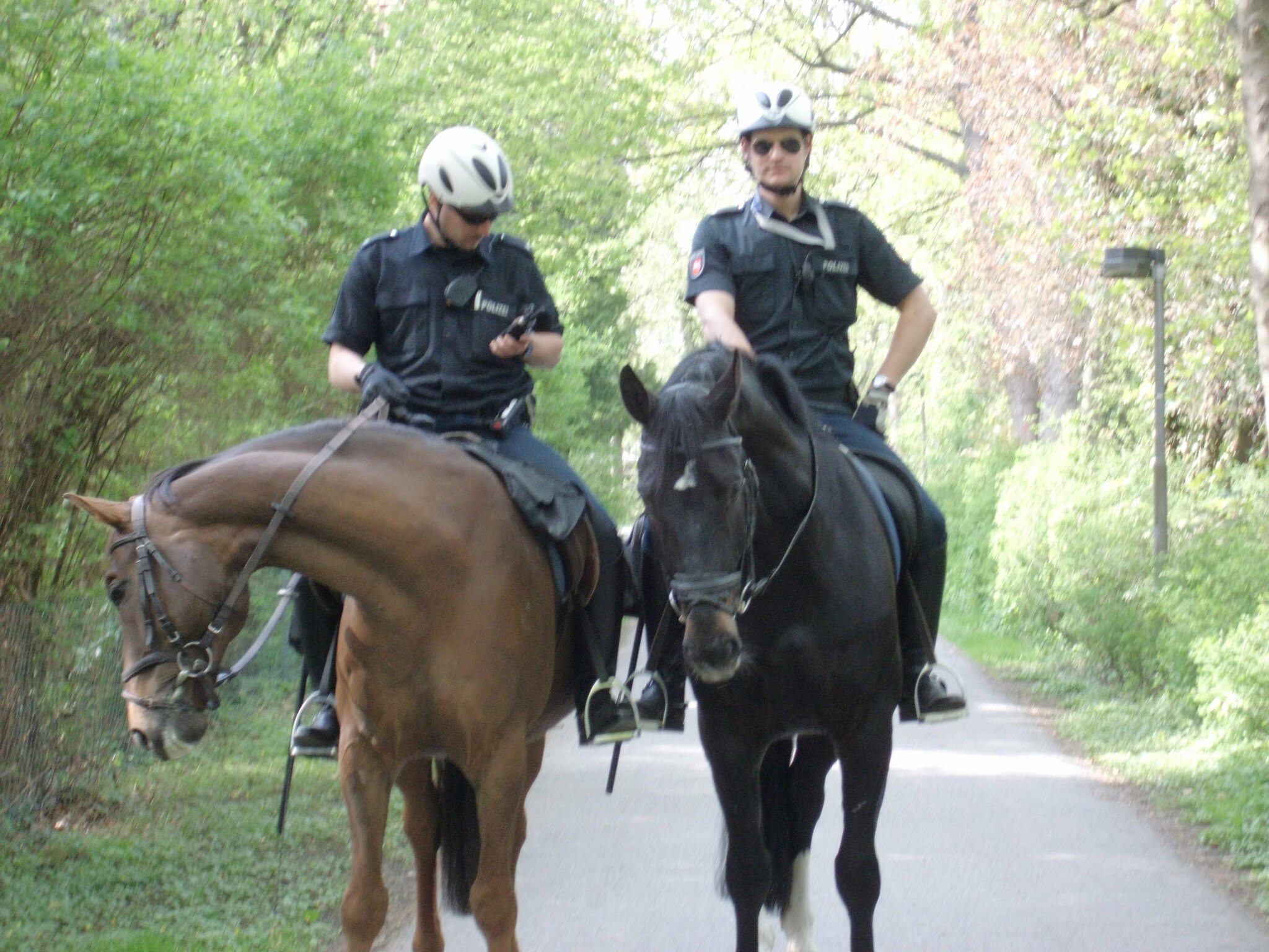 Das Aushängeschild der hannoverschen Polizei. Die Reiterstaffel. - Burgdorf