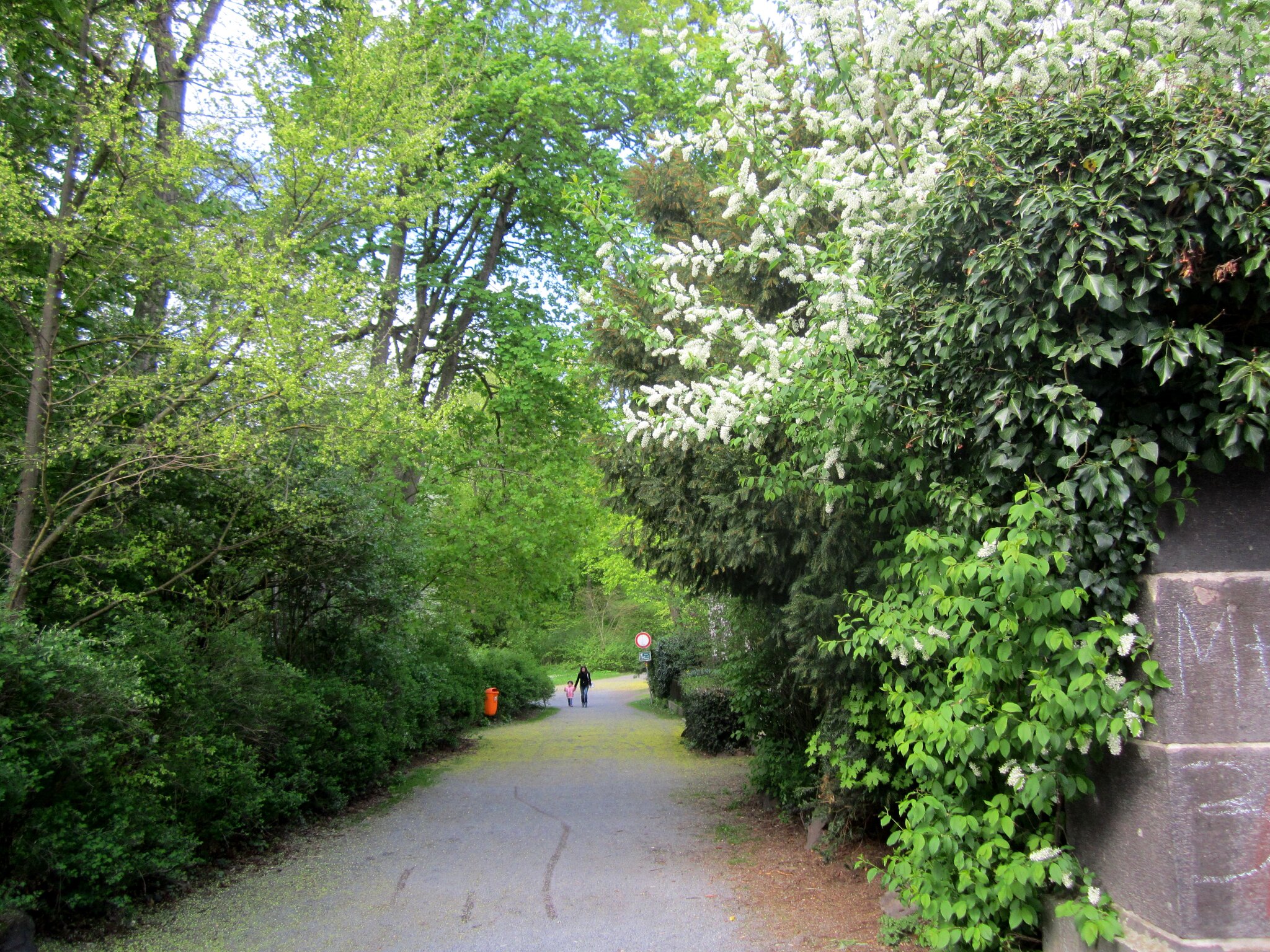 Ein Spaziergang durch den Sayner Schlosspark in Bendorf-Sayn. - Bendorf ...