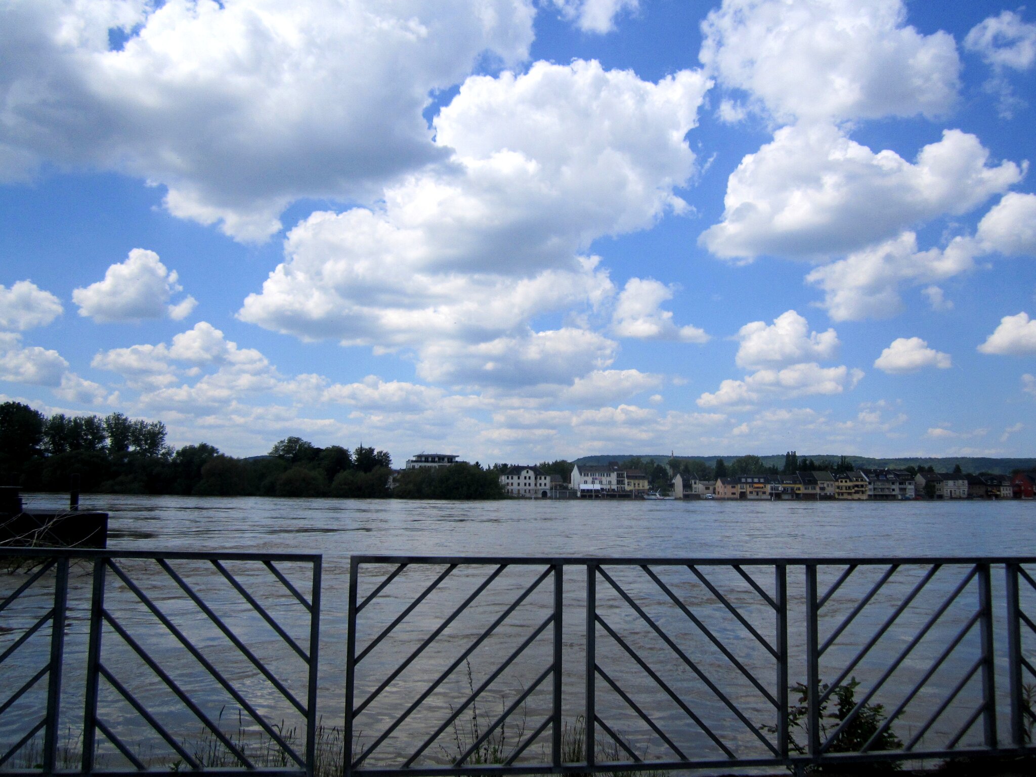 Windgejagt und mir entgegen Ziehst du, Wolk‘, auf meinen Wegen ...