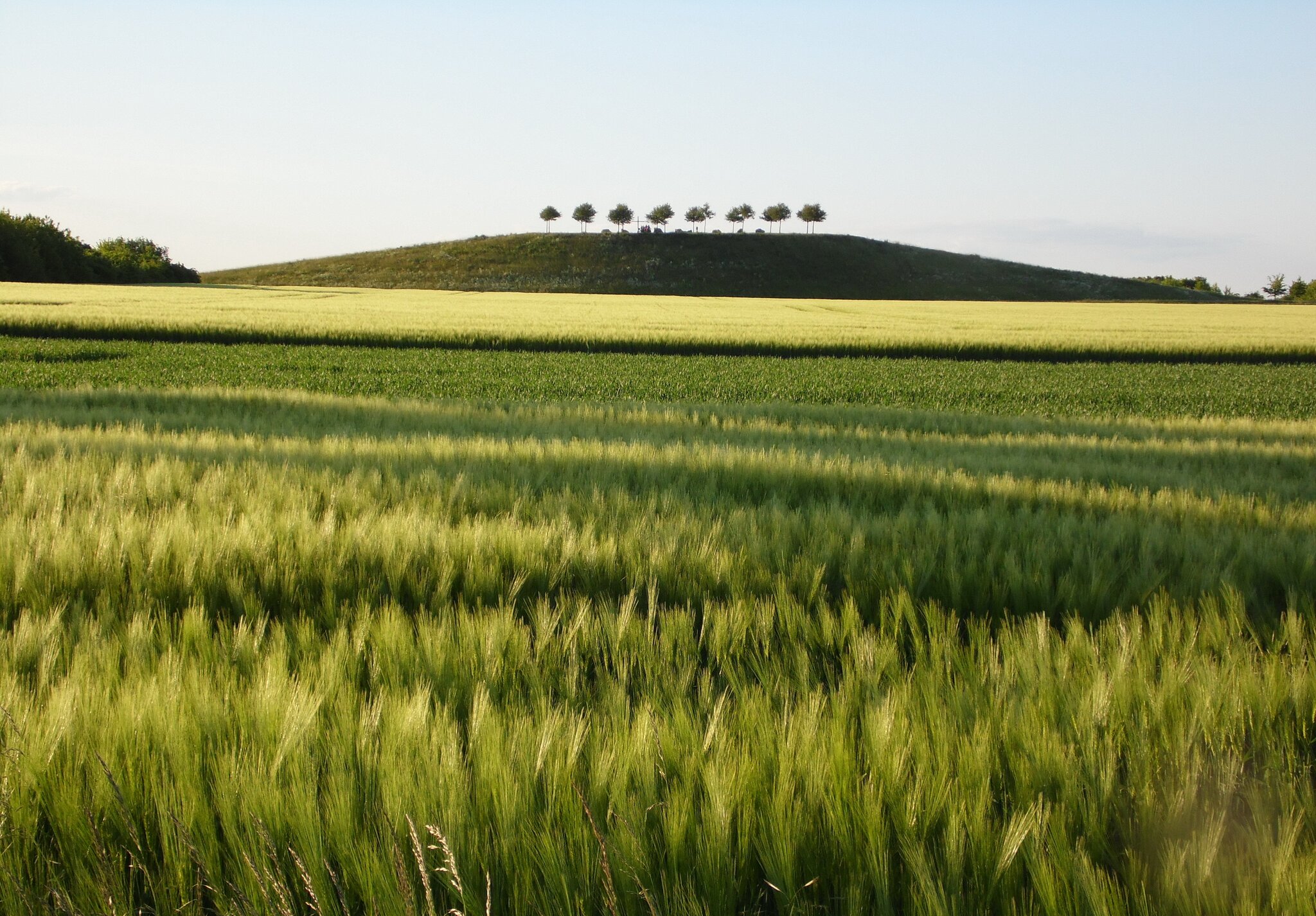 Der Kronsberg zwischen Anderten und Laatzen - Grünanlagen und -gebiete ...