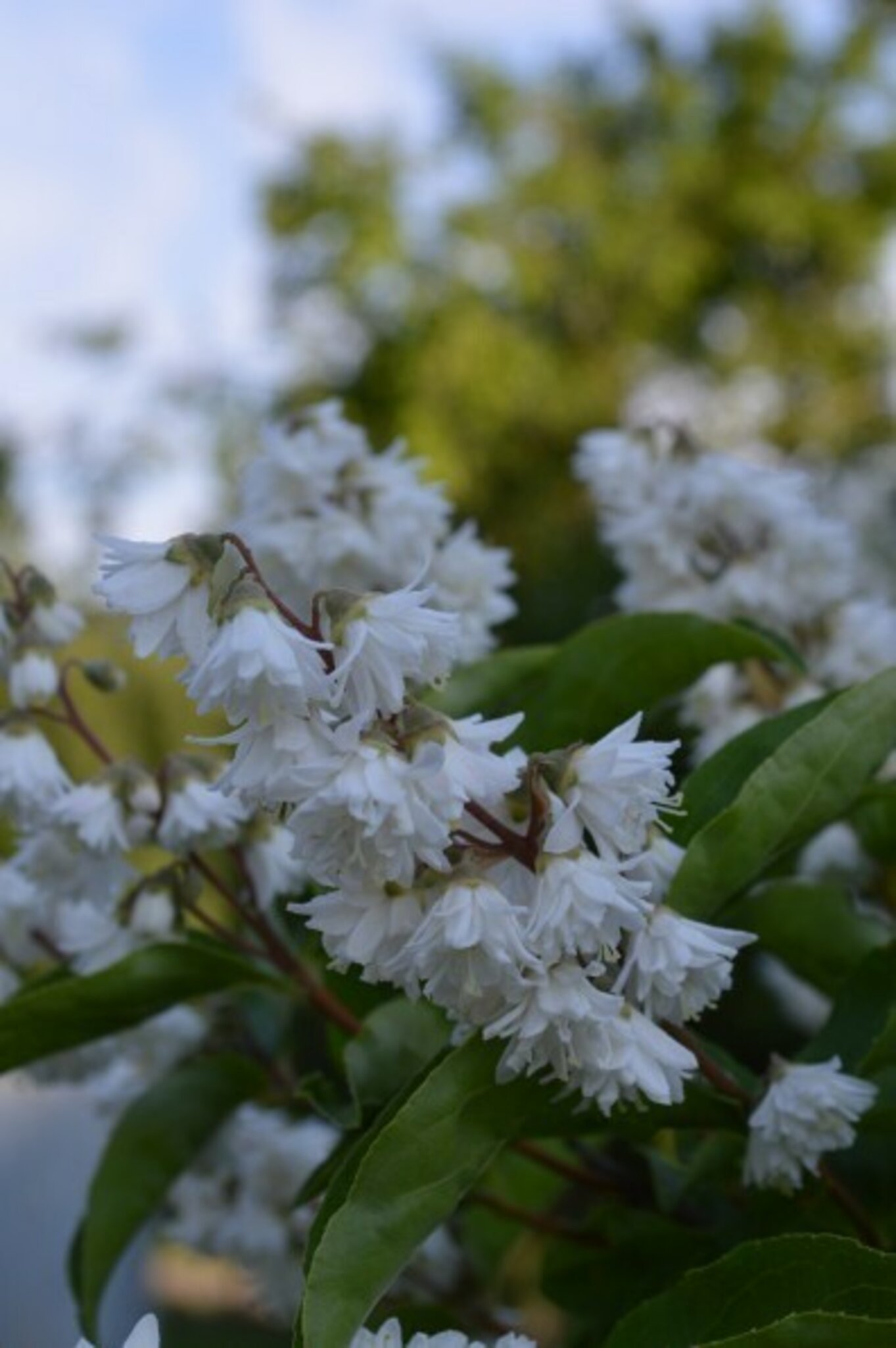 Was ist das?? | Hilfe | Weißer Busch - Bad Wildungen