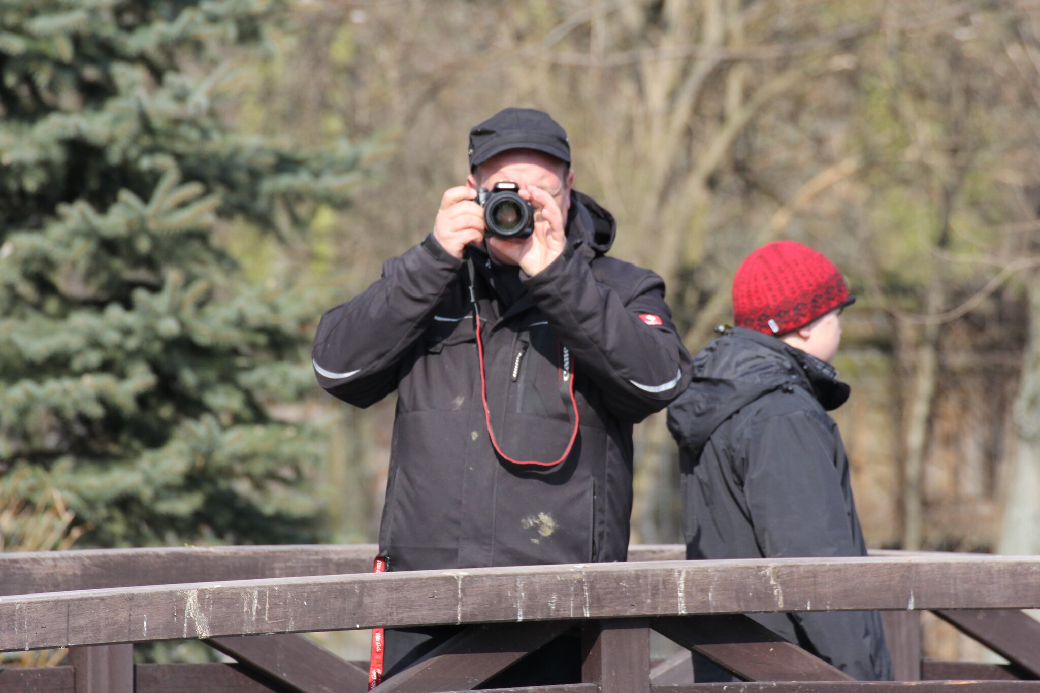 Bildung einer Presseabteilung für den Tierpark Bad Kösen - Naumburg (Saale)