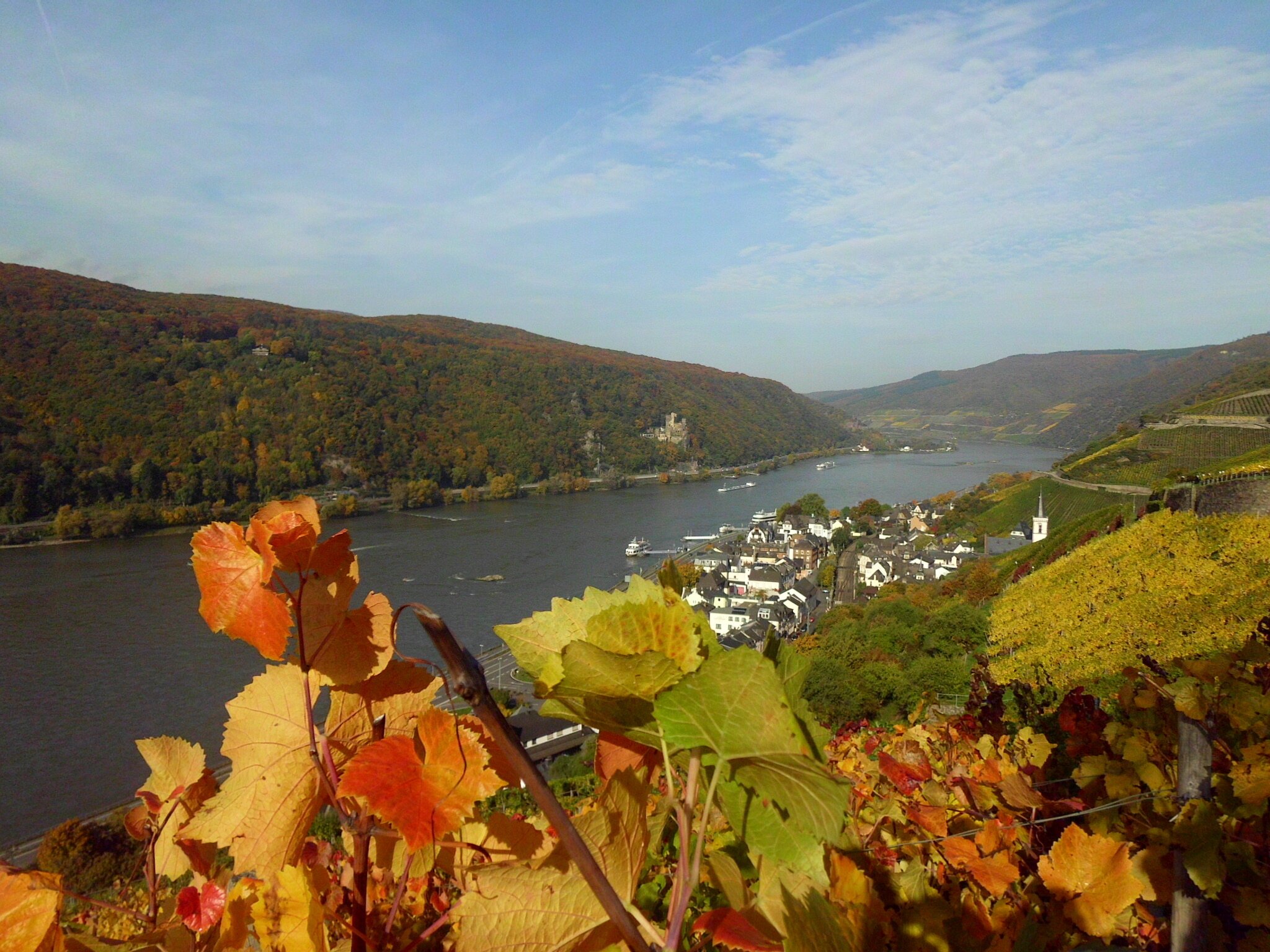 "DARUM IST ES AM RHEIN SO SCHÖN ..." - Eine Wanderung durch den ...