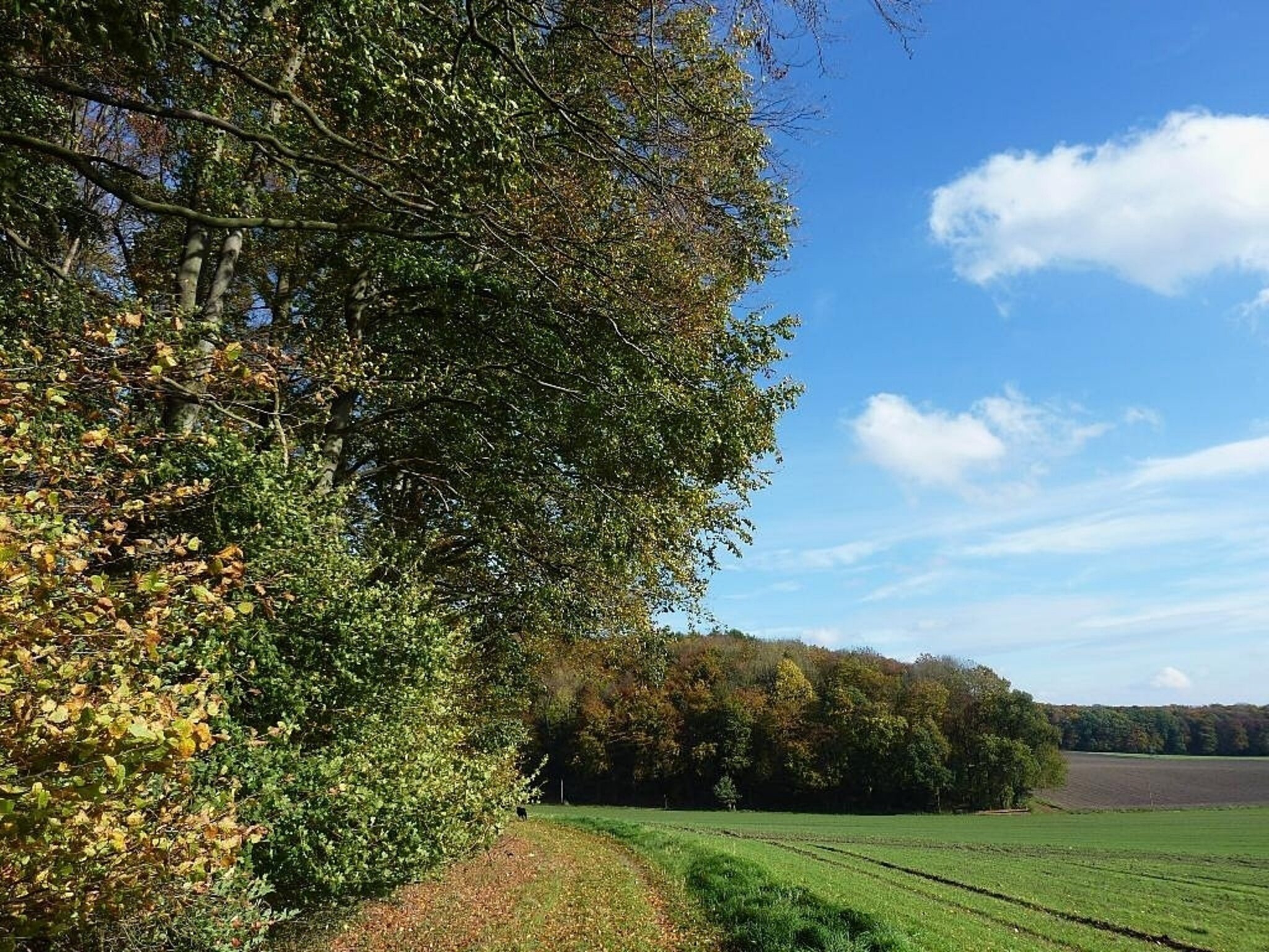 Wechselhaftes Oktoberwochenende - Stemwede