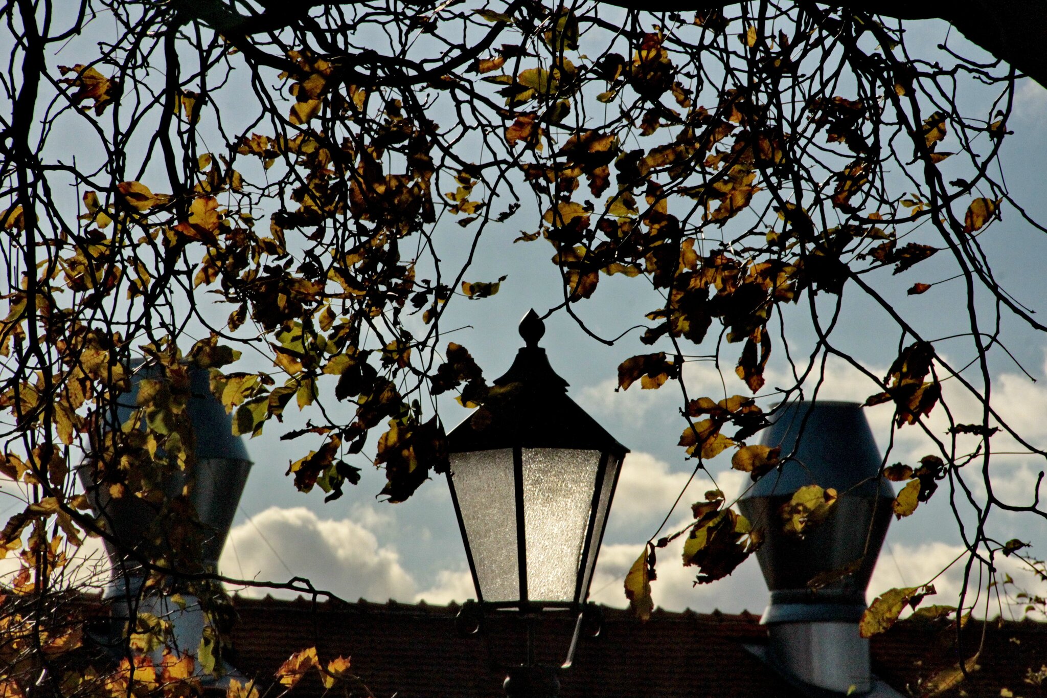 Beim Maus-Turm in Bad Wildungen - Bad Wildungen