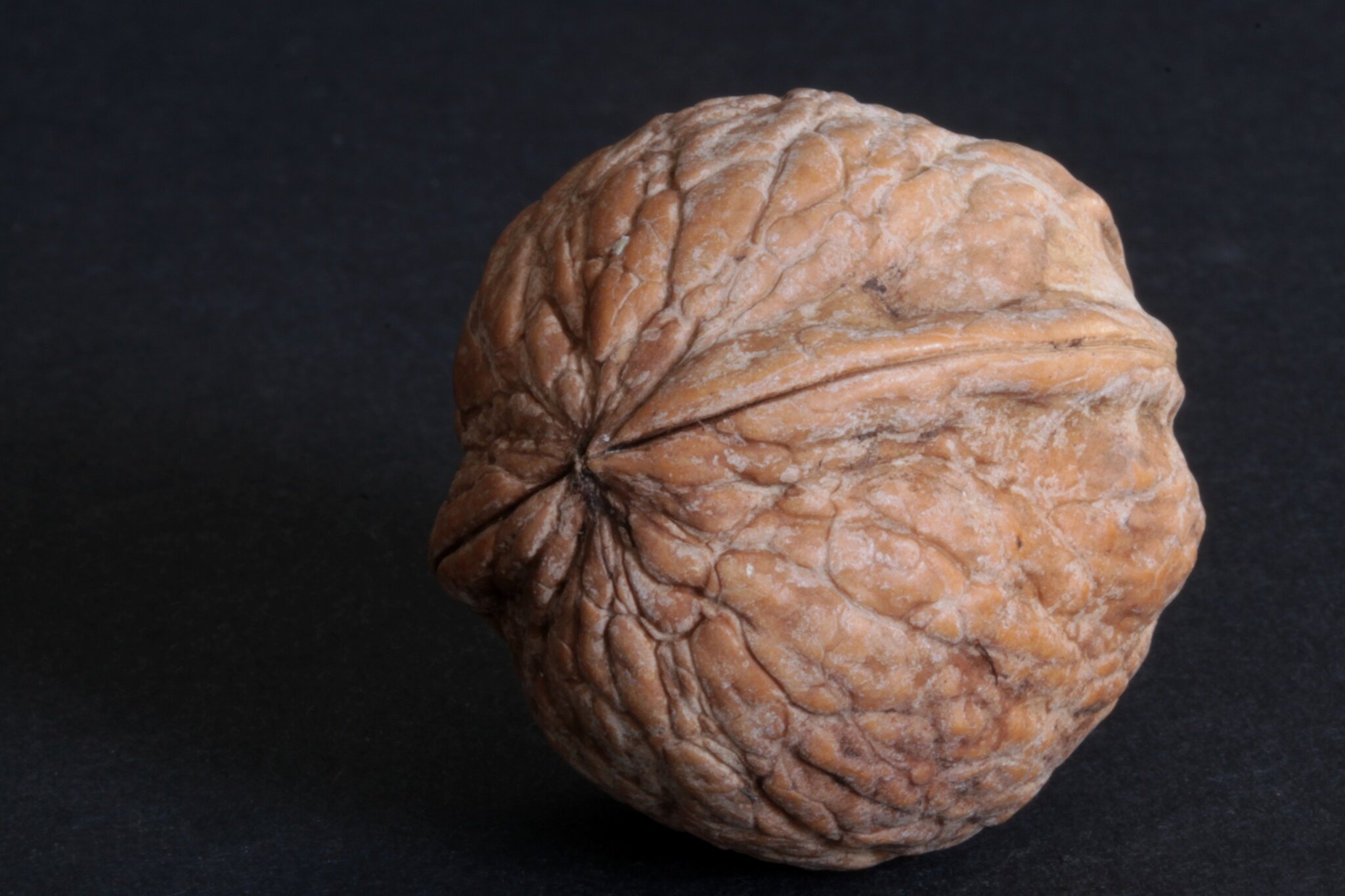 erstmal ein paar Nüsschen knacken! :-) - Bochum