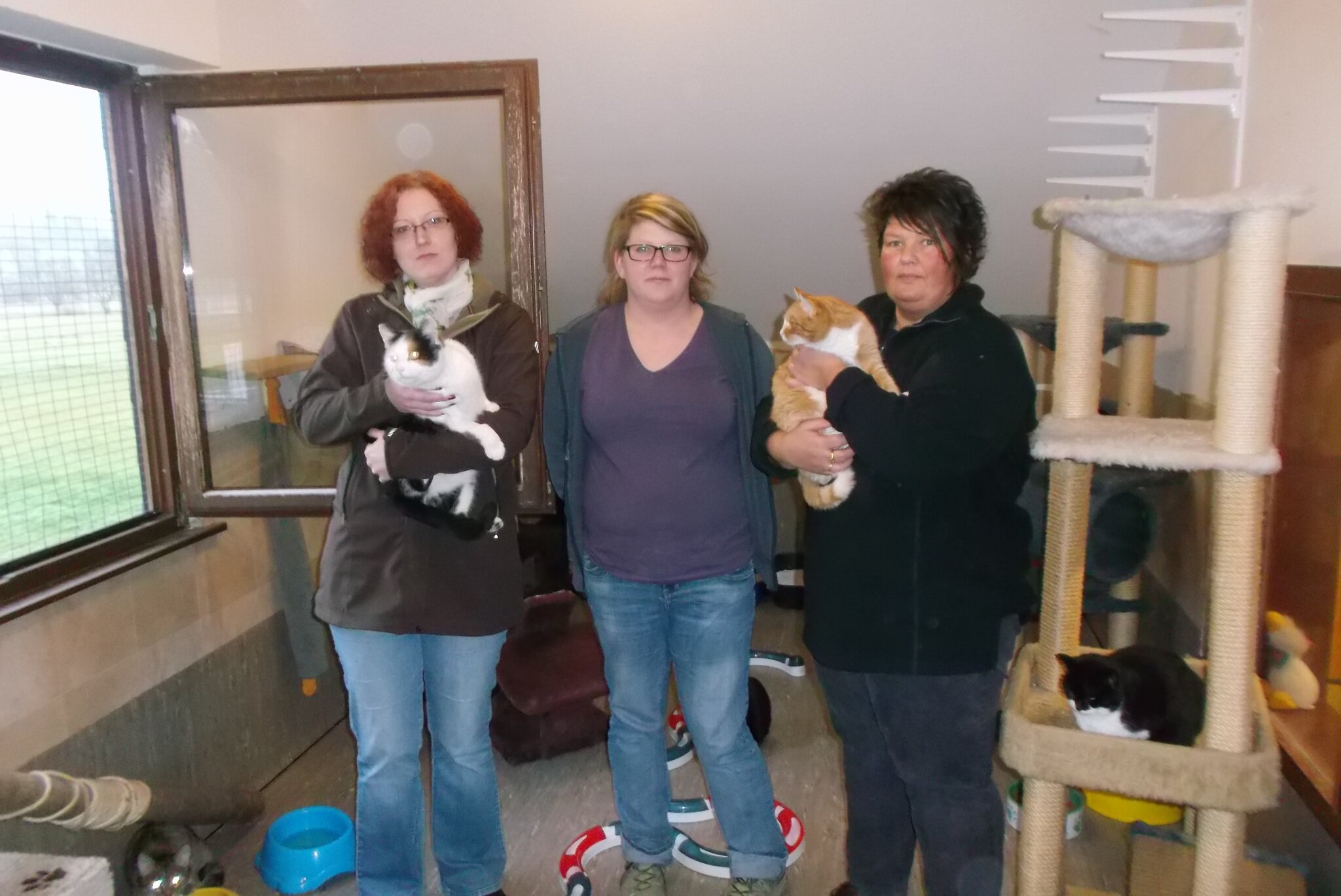 Spende fürs Tierheim Frankenberg ! - Hatzfeld (Eder)