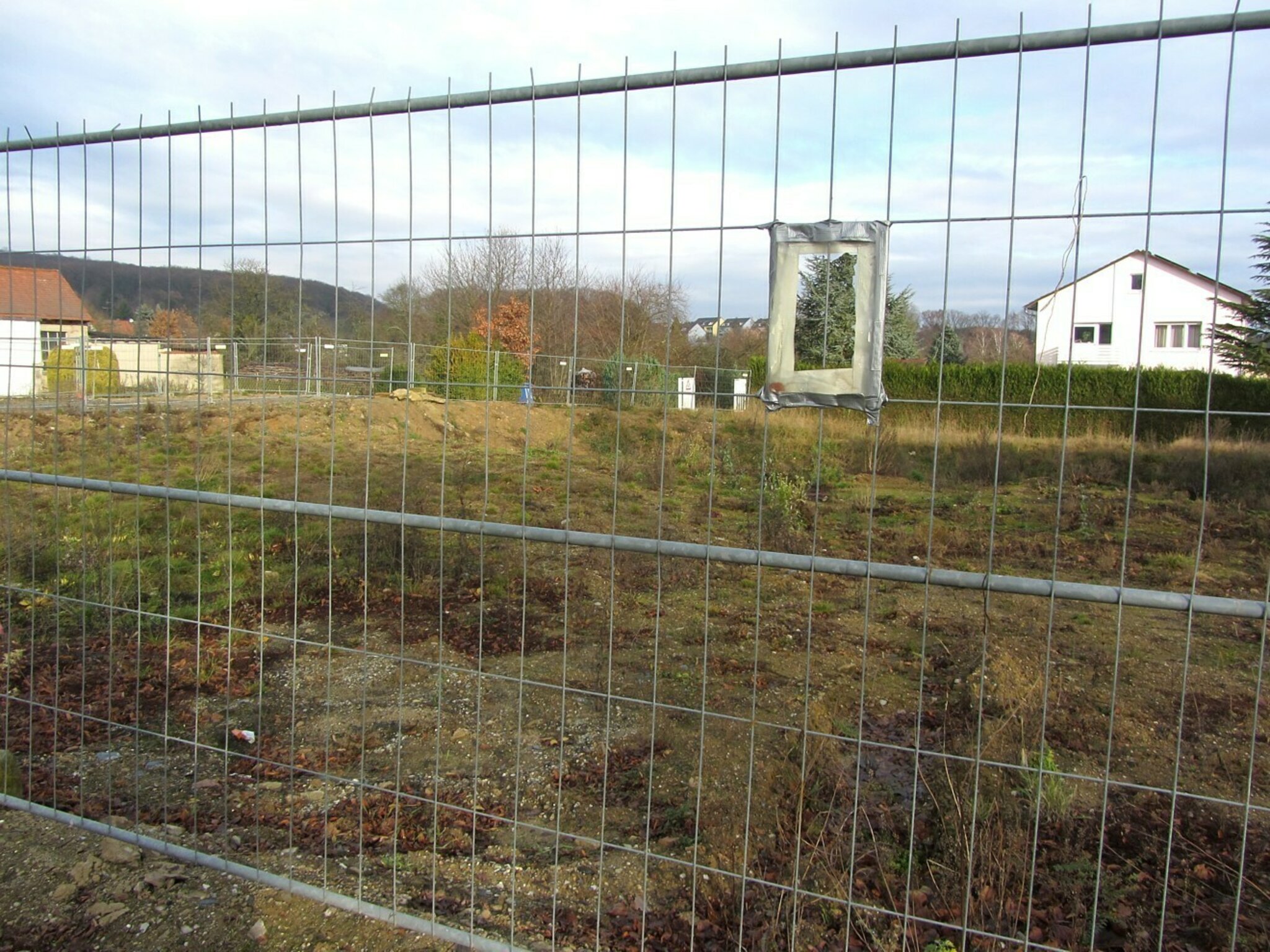 Blick durch den Zaun - Friedrichsdorf