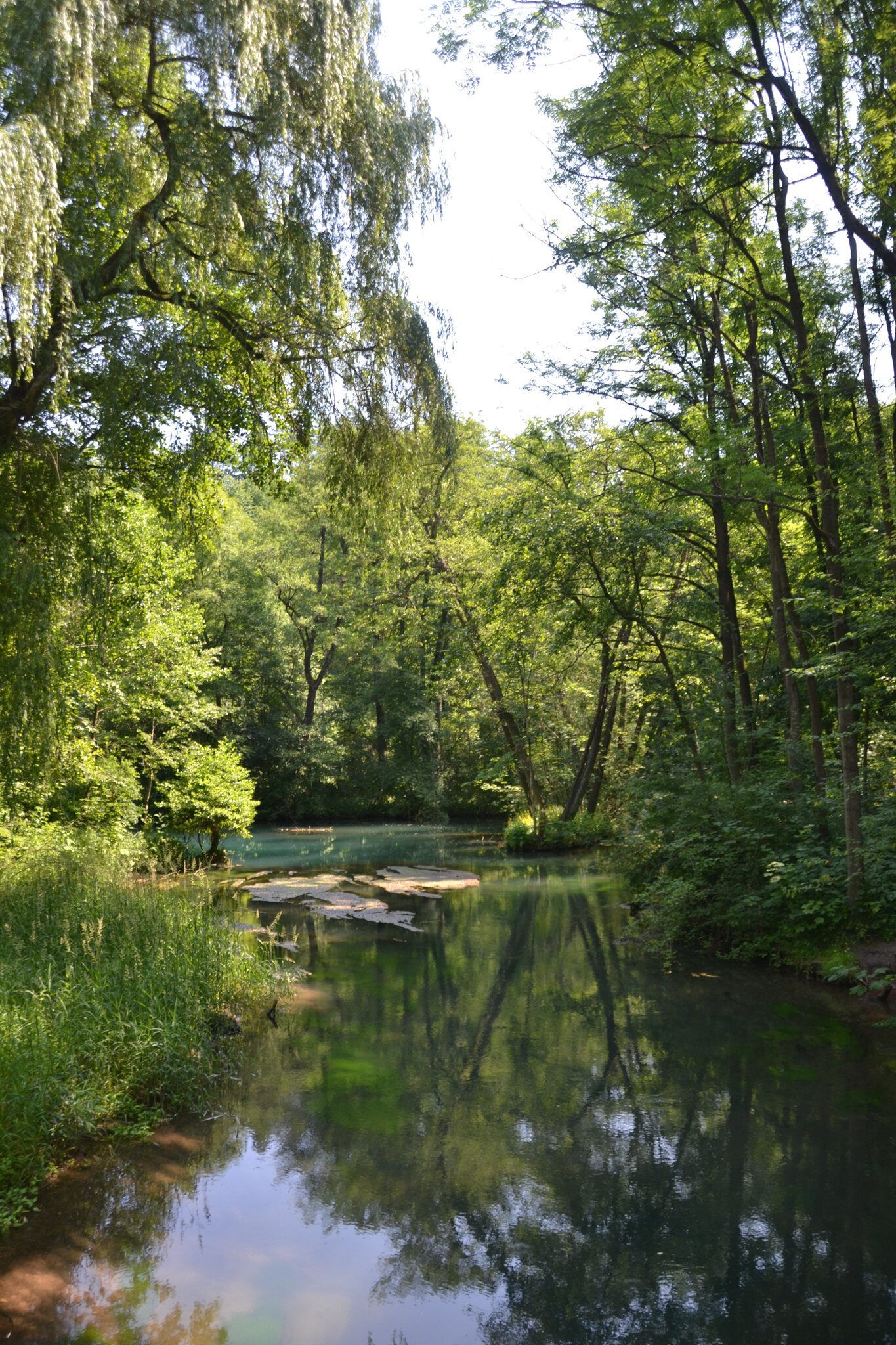 Sagenhafter Harz: Von der Nixe Rhuma und dem beeindruckenden ...