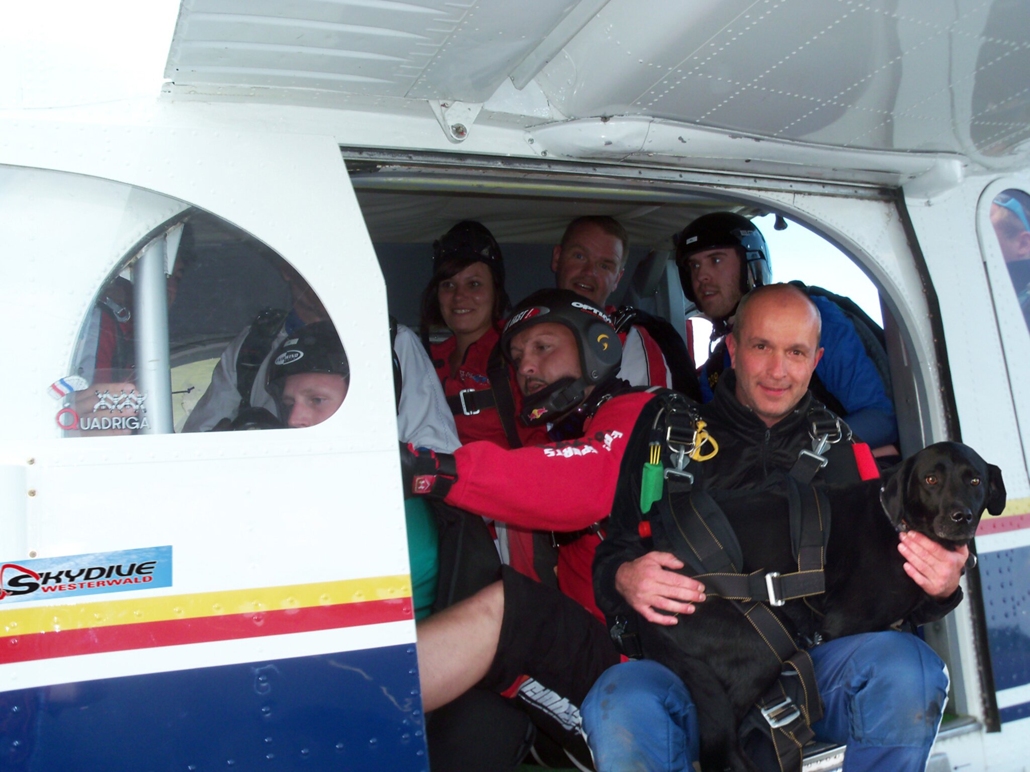 Pilotprojekt „Para-Dogs“: Such- und Spürhunde springen mit dem ...