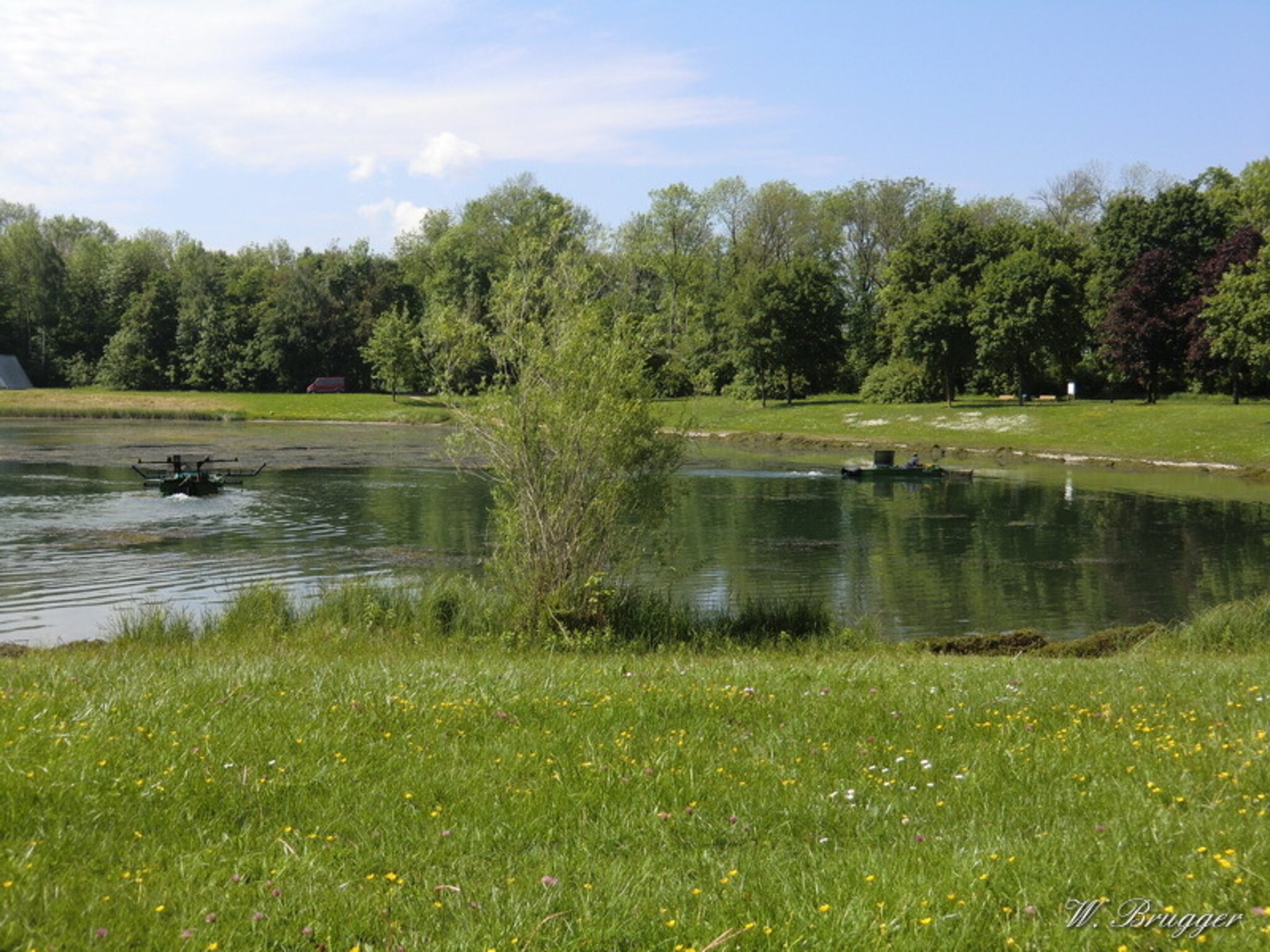 Wieder unterwegs: Die Schwimm-Mäher am Lauinger Auwaldsee - Lauingen ...
