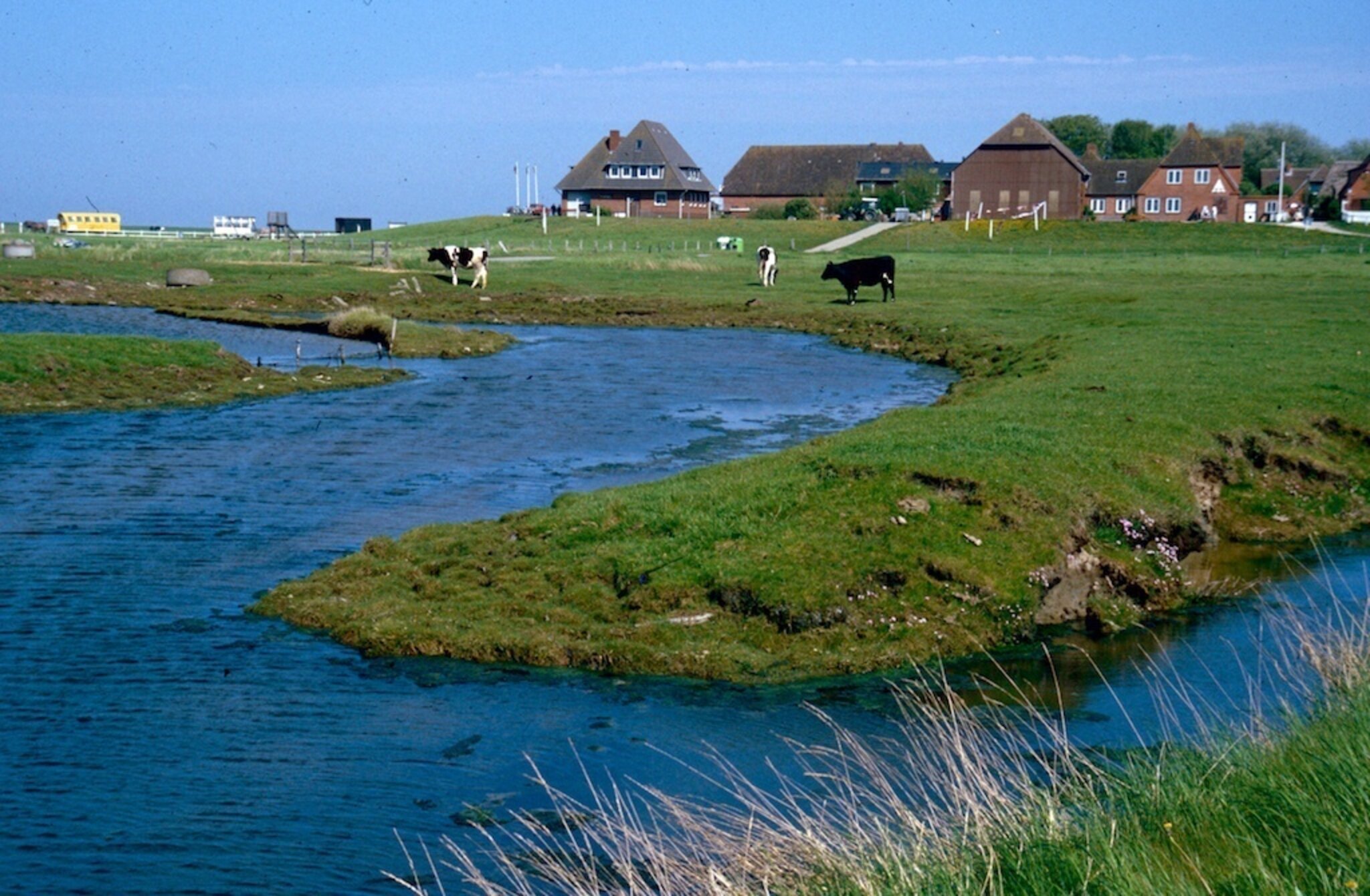 Wattwanderung von Hallig Hooge zur Insel Pellworm - Hamburg