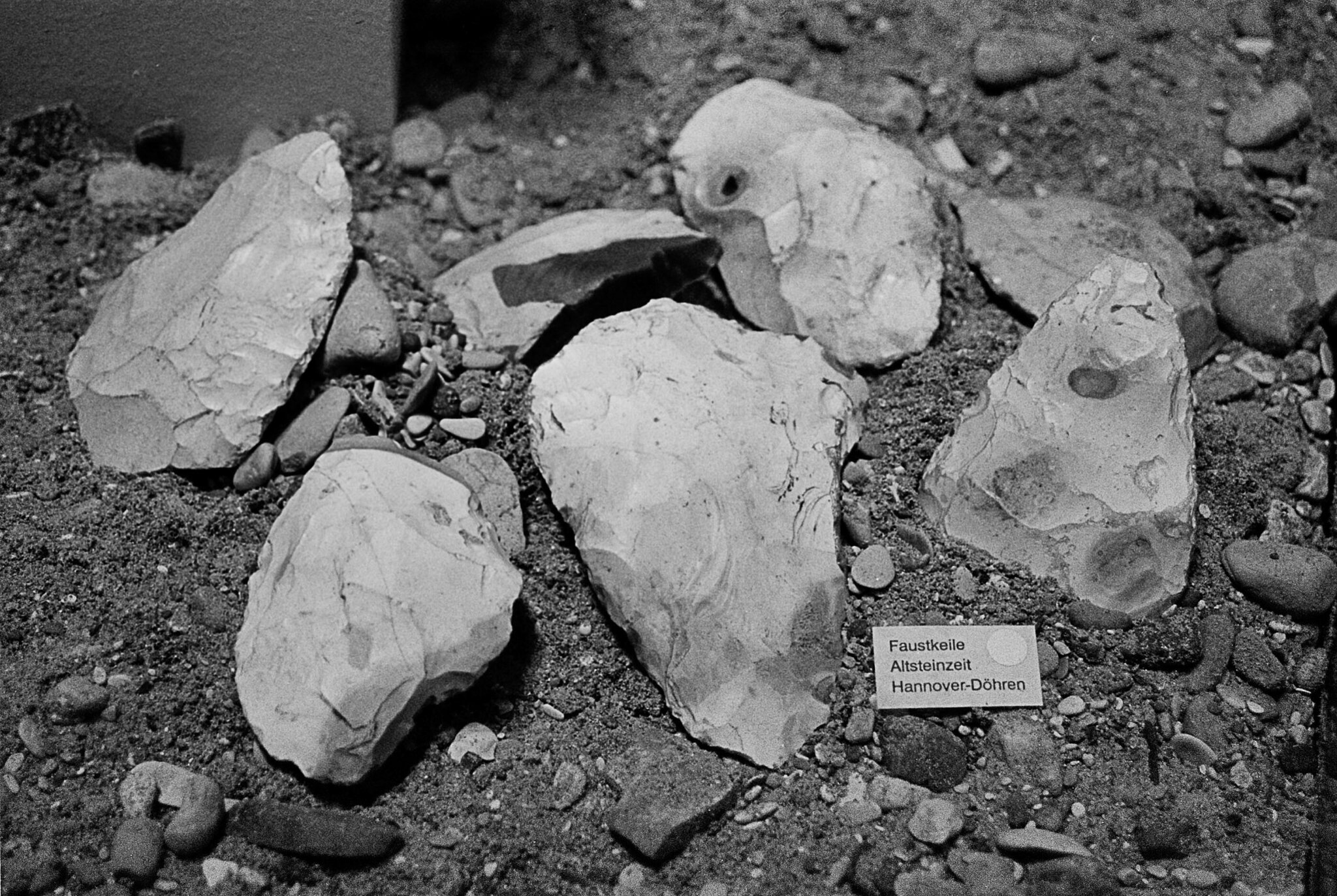 Spaziergänge in die Vergangenheit: In der Altsteinzeit streiften Jäger ...