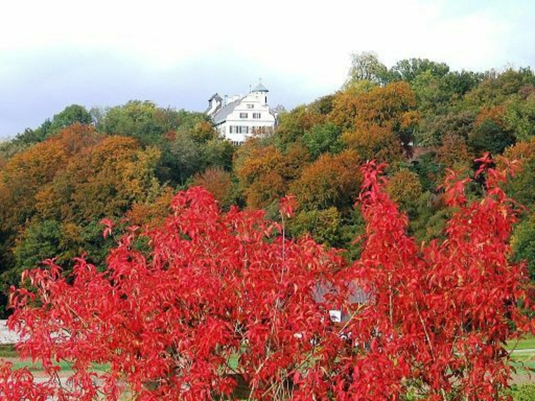 „GOLDENE HERBST- und GARTENTAGE“ auf Schloss Scherneck bei Augsburg in 86508 Rehling 03.-05 ...