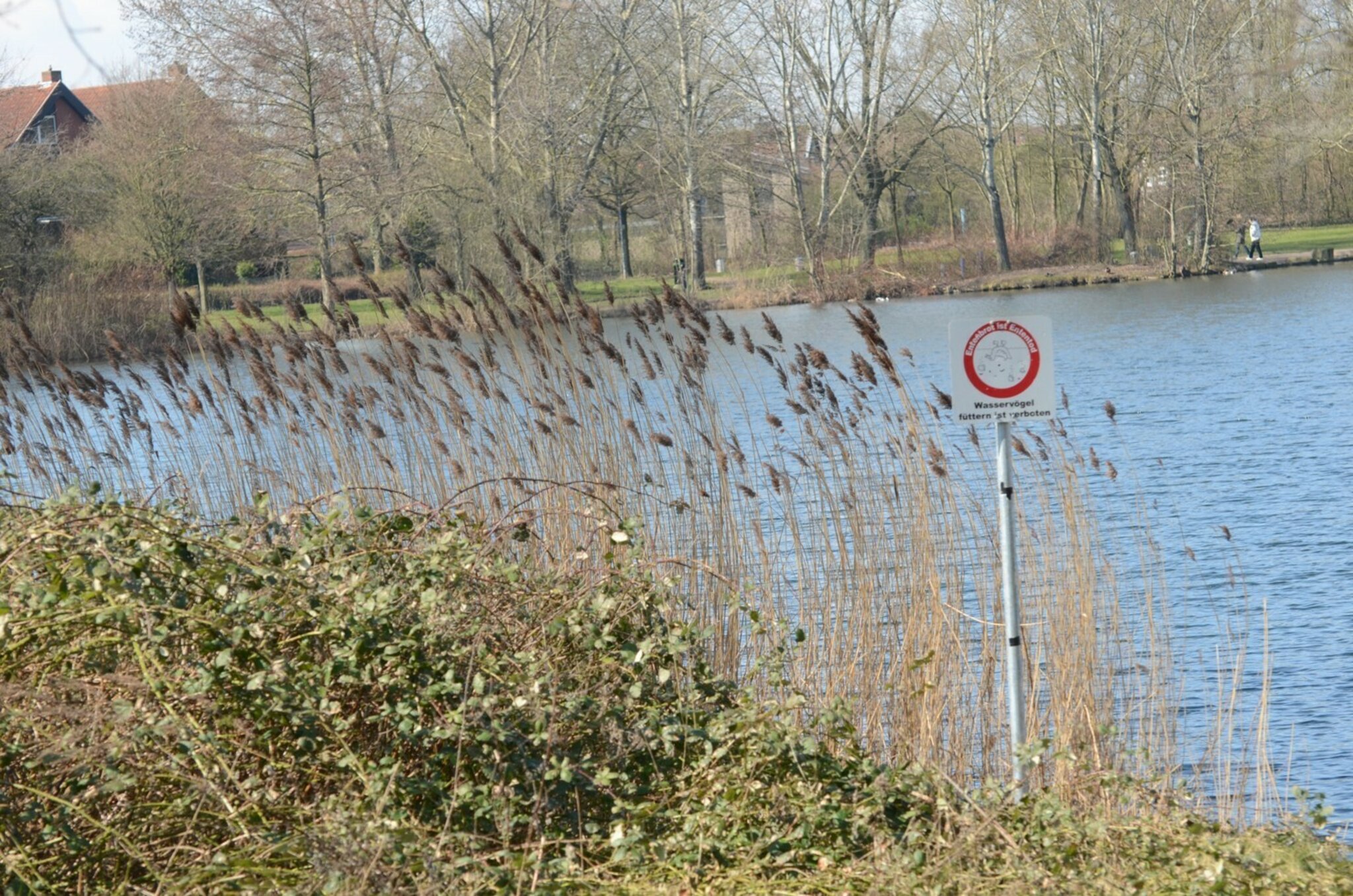 spaziergang im stadtpark - Garbsen