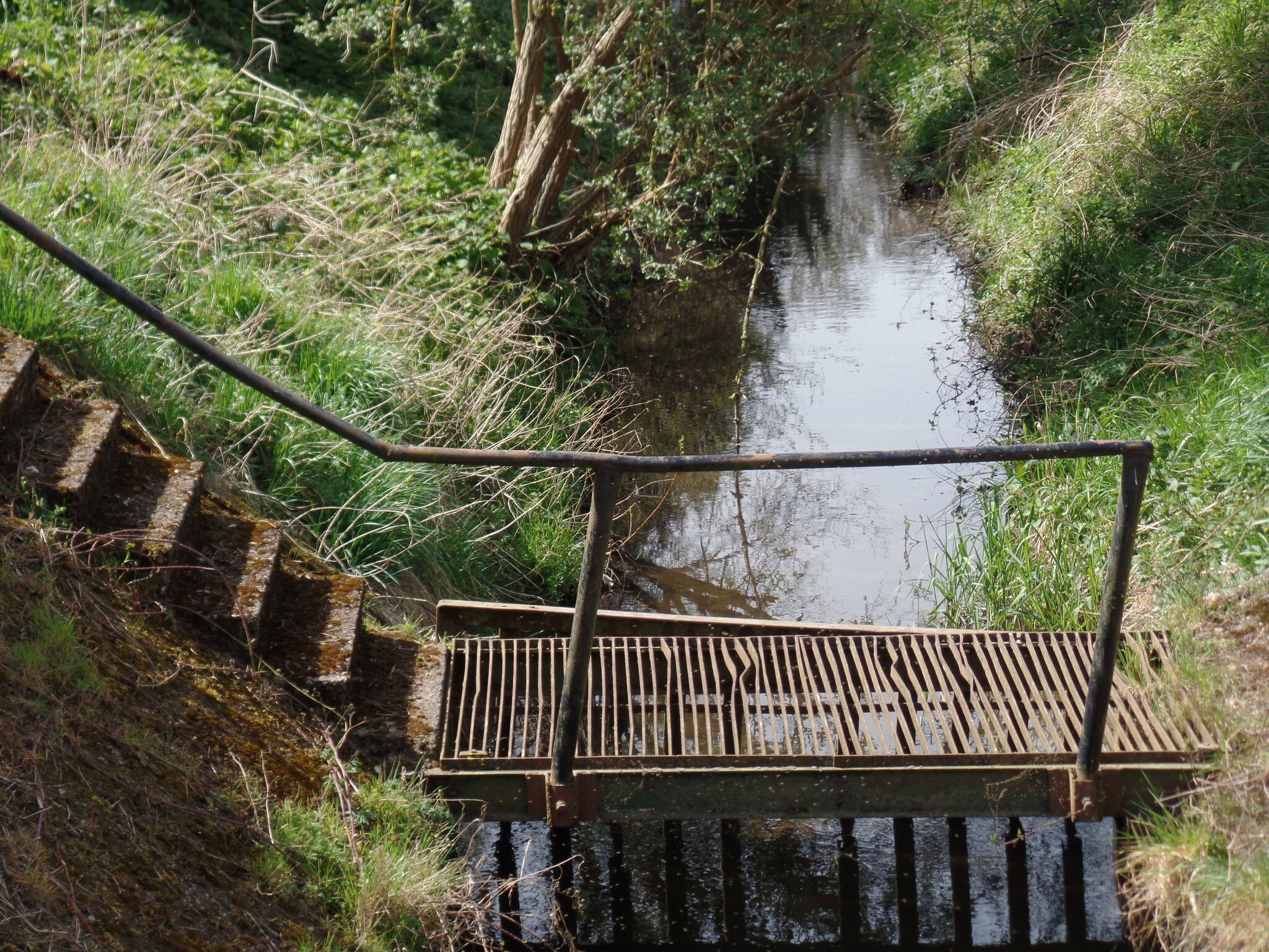 Leise rinnt der Bach daher, doch dahinter steckt viel mehr! - Pulheim