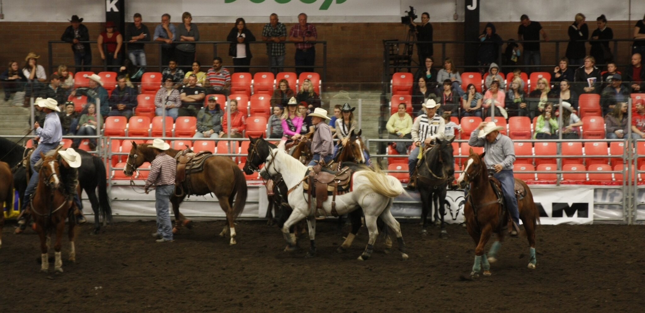 Black Gold Rodeo Leduc - Peine