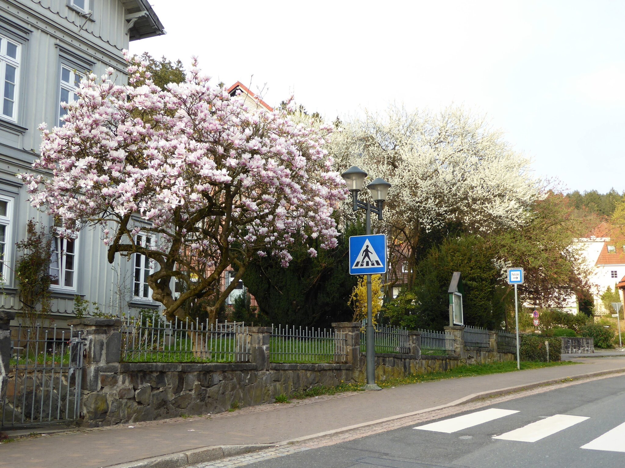 Frühling in der Bergstadt Bad Grund - die schönste Jahreszeit - Bad ...