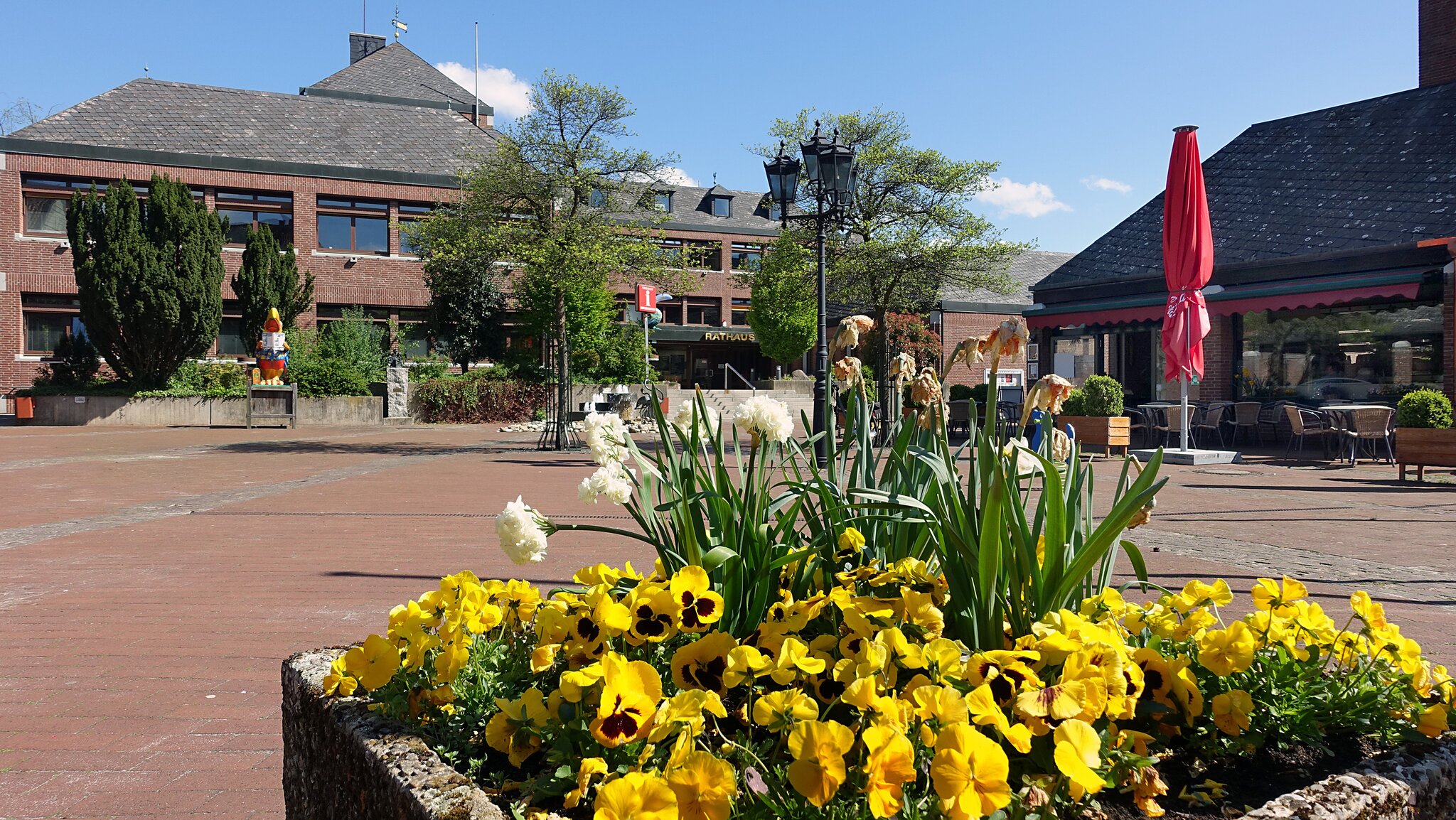 Stadtansichten: Walsrode im Wonnemonat - Walsrode