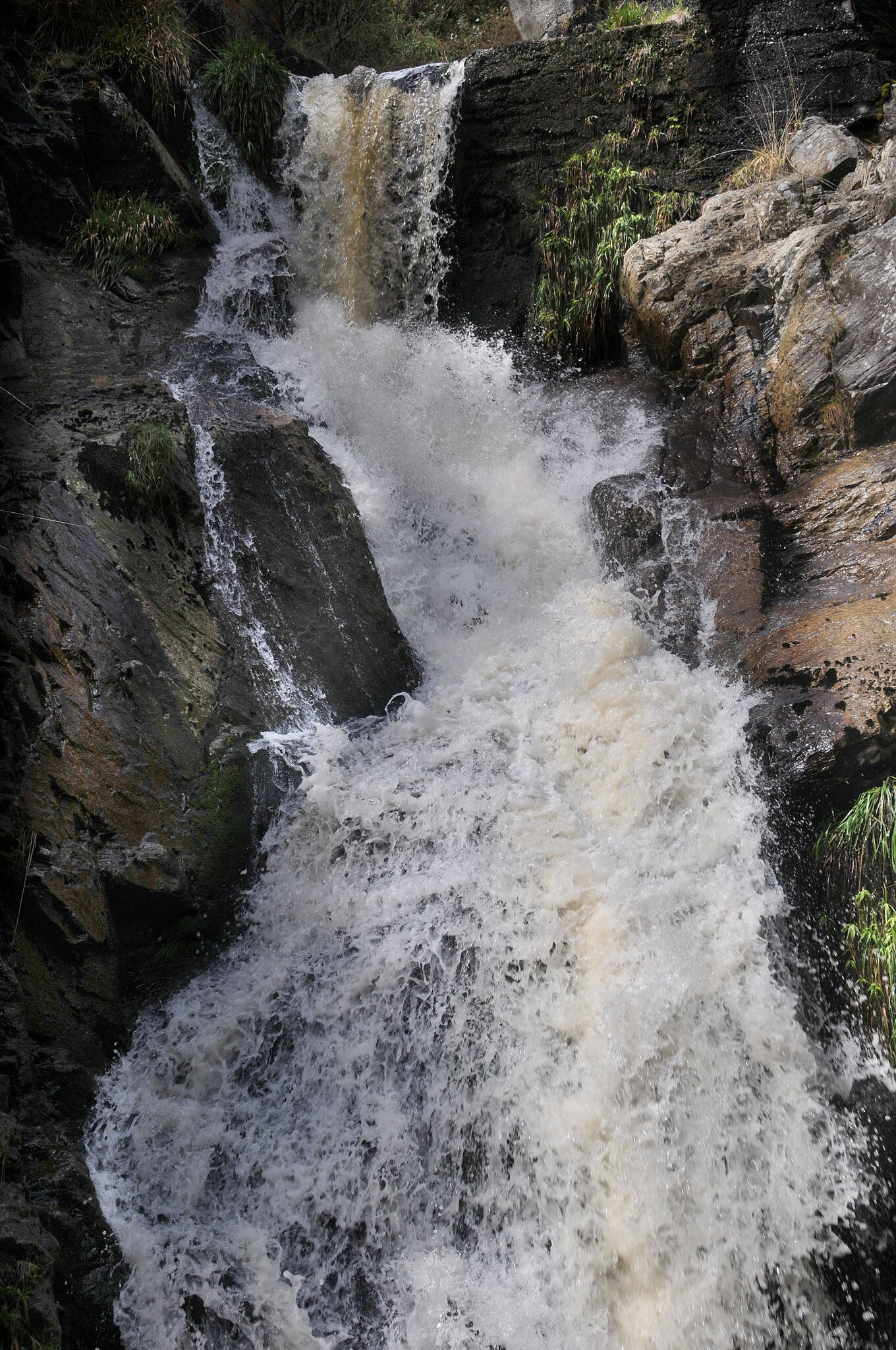 Fototipps: Wenn spritziges Wasser zu Watte wird - Hannover-Döhren ...