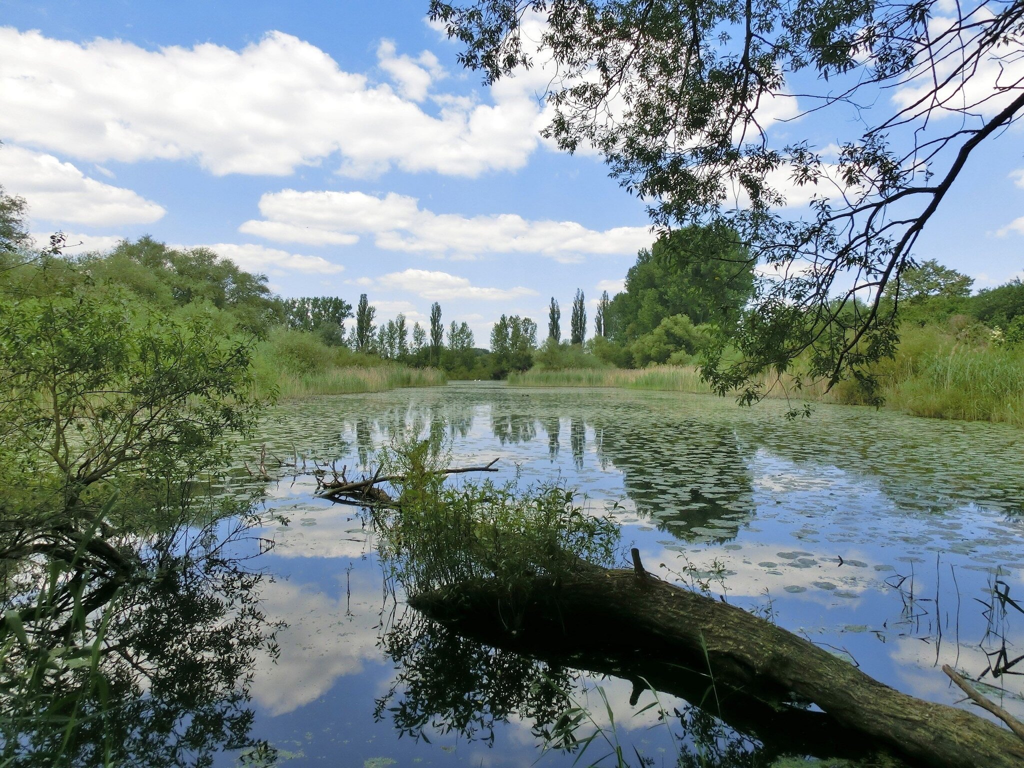 Ein Tag Urlaub in der Leinemasch... - Laatzen
