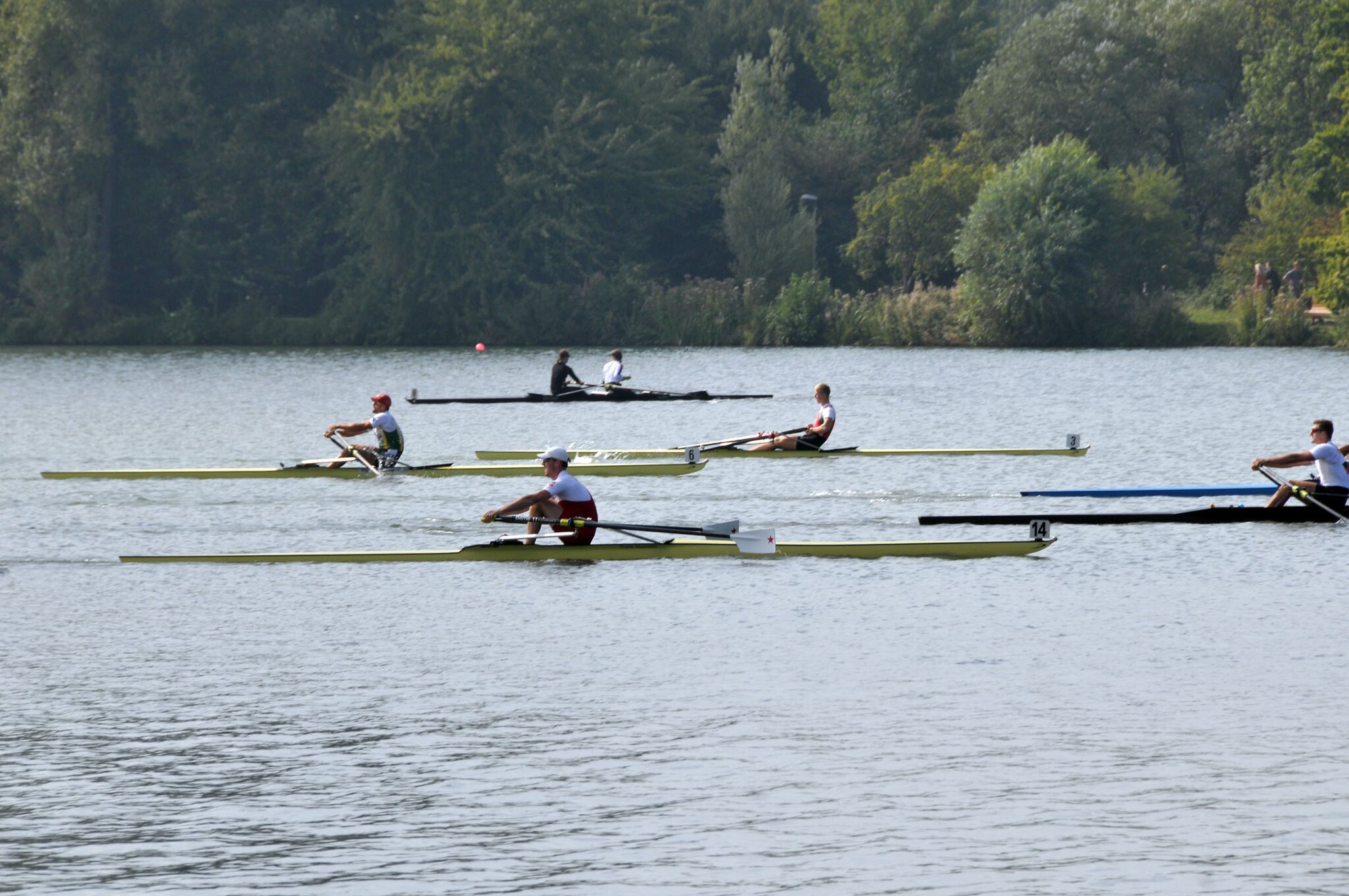 Internationale Ruderregatta auf dem Maschsee - Hannover-Waldhausen