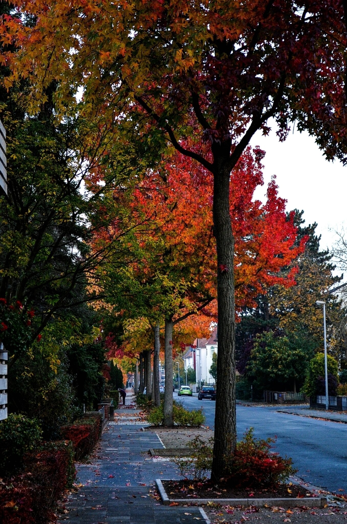 Lehrte Rosenstraße - Lehrte