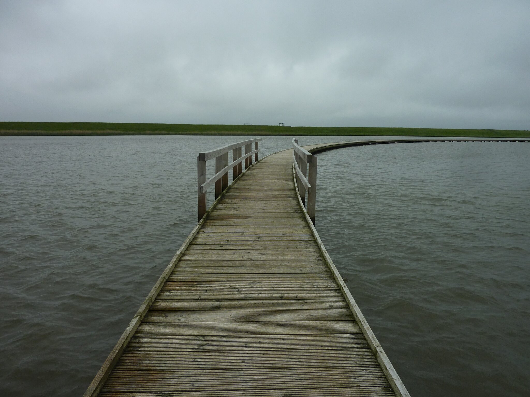 Neues vom Langwarder Groden (Butjadingen) - Butjadingen