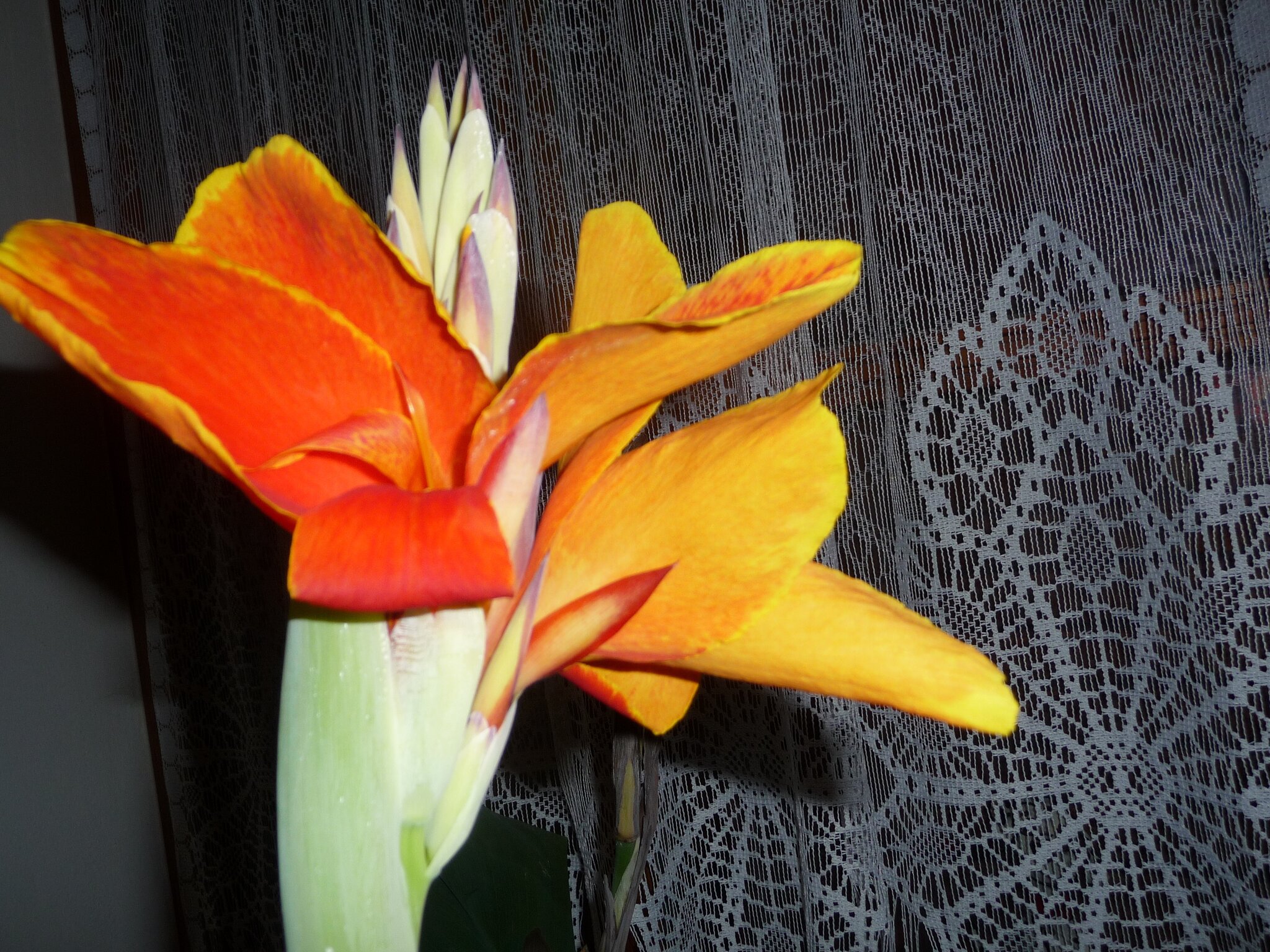 ausgetrixt!!! - Neusäß