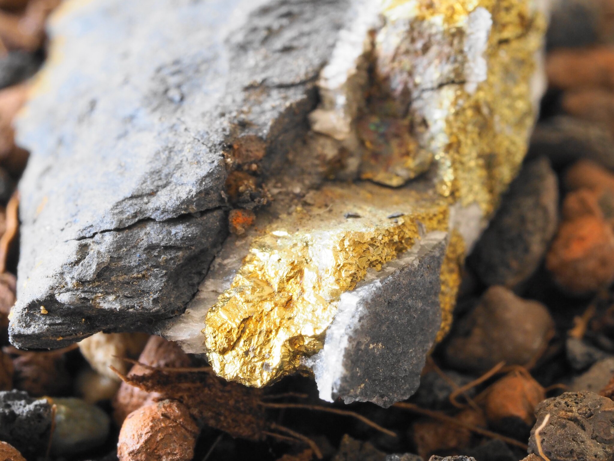Bei Langeweile suche ich Gold... - Breidenbach