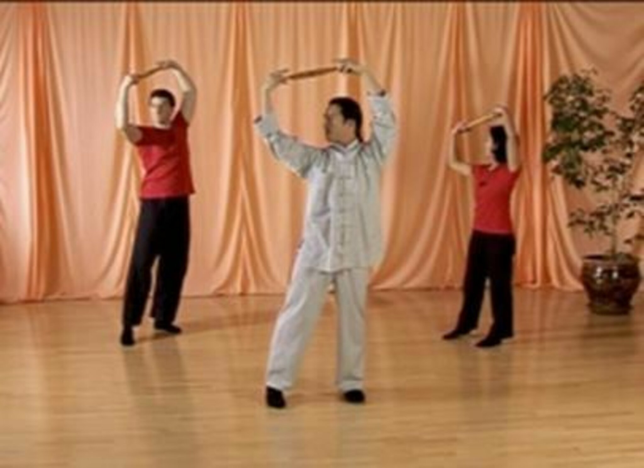 IDOGO® Qigong Wochenend-Seminar - Augsburg
