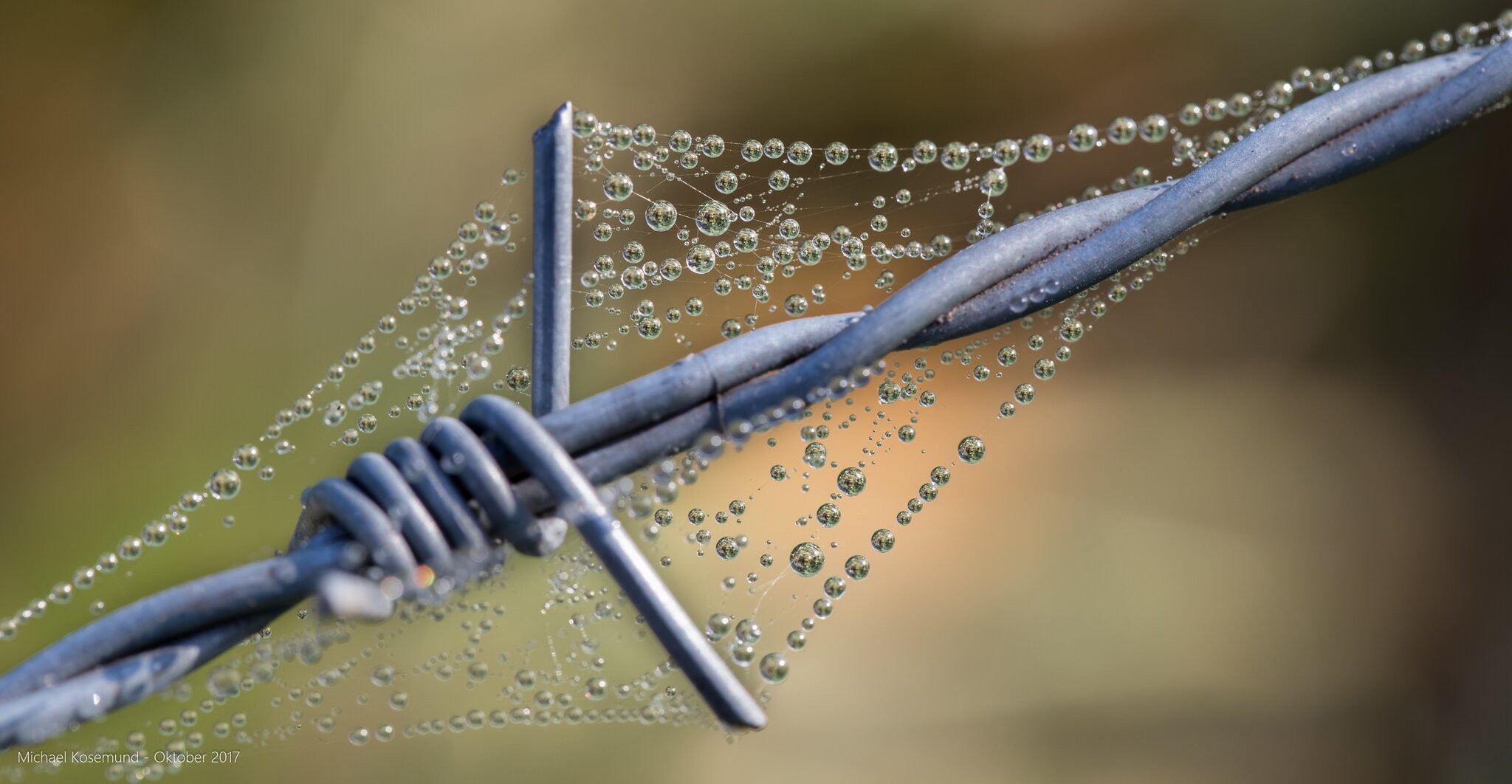 Faszination der Tropfen - Wunstorf