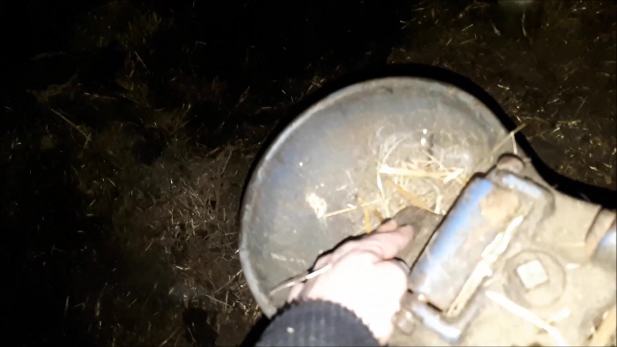 Oettinger „Horror-Hof“: Zustände weiterhin katastrophal und „untragbar ...