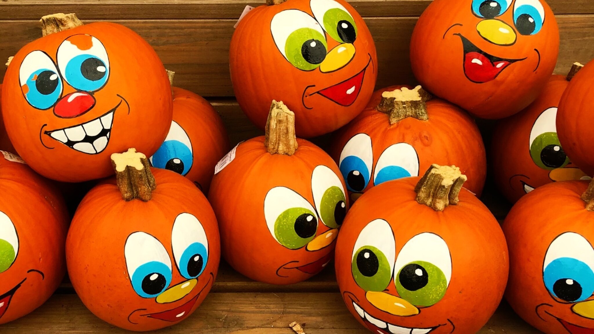 September 2018. Zierkürbisse gesehen von Irmtraud und Peter Reck. - Hannover-Groß-Buchholz