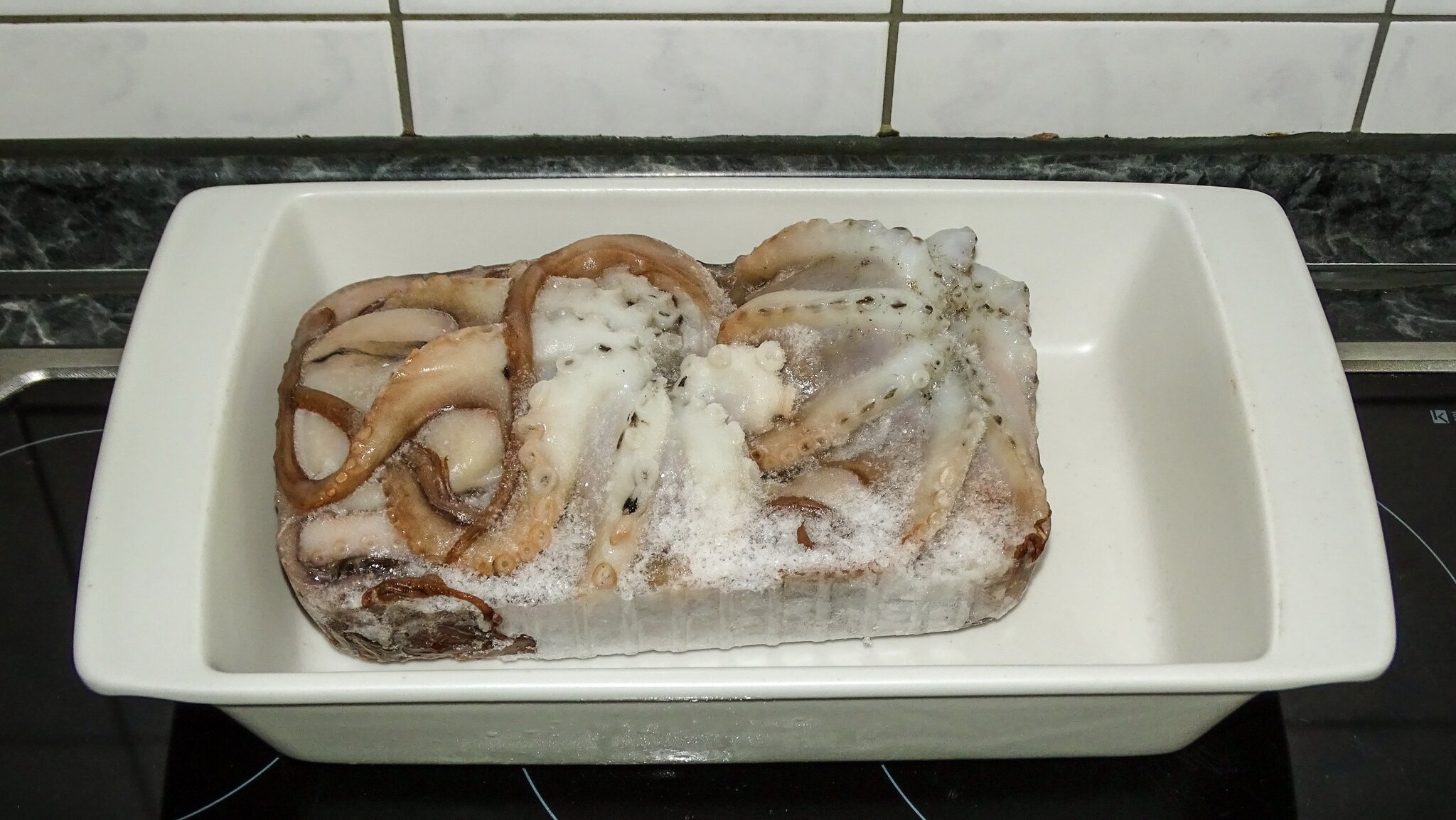 Oktopus - frisch aus dem Atlantik - Duisburg
