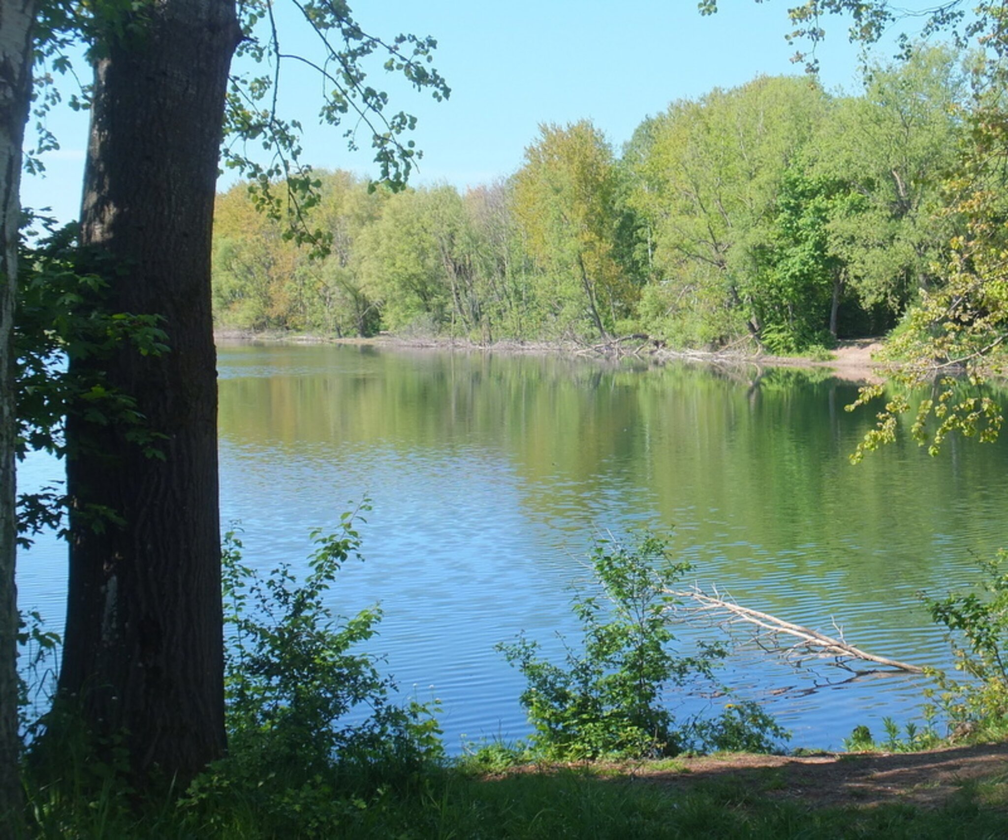 Naturerlebnis Erlensee - Kirchhain