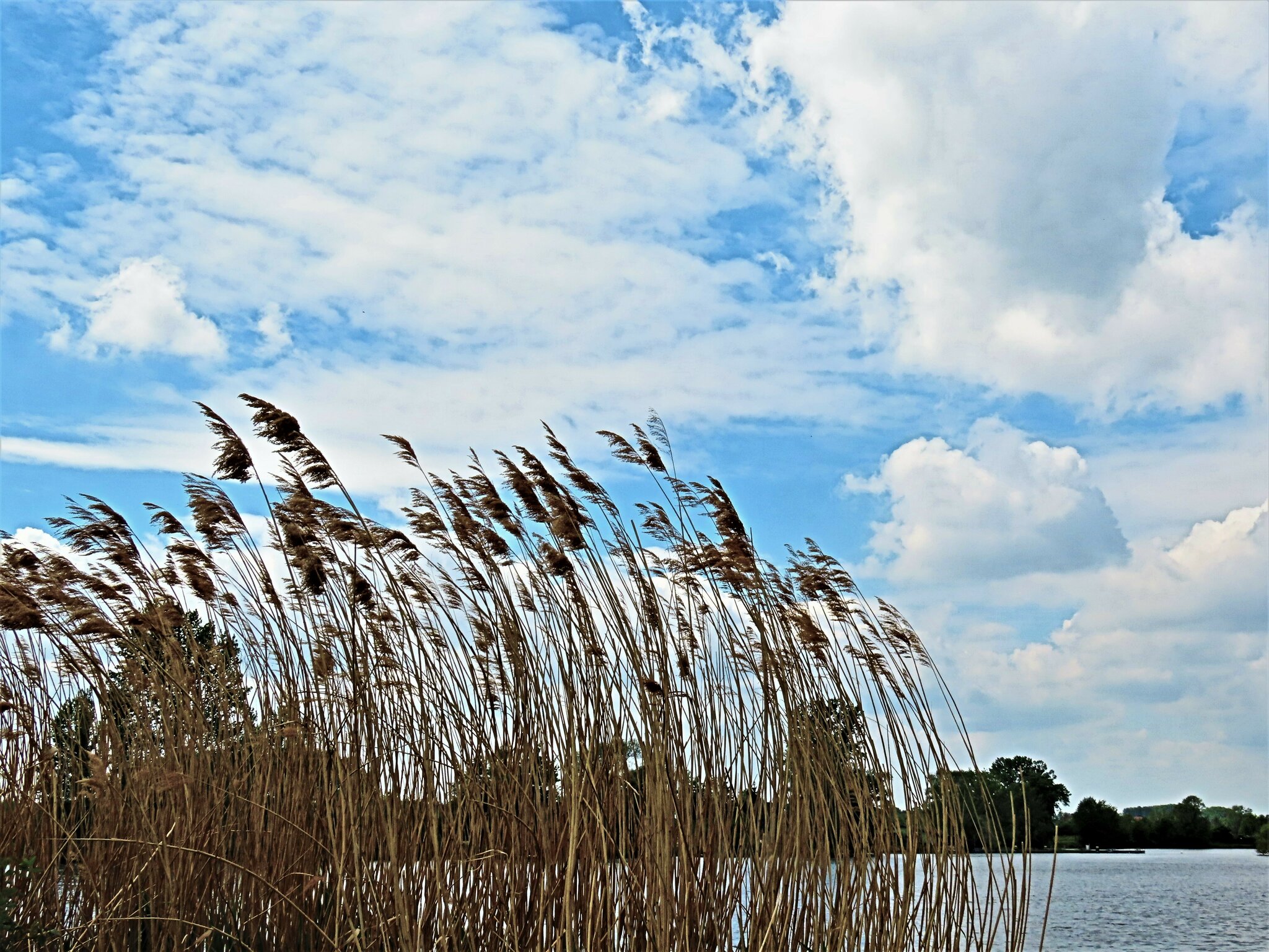 Forellensee Harkenbleck - Laatzen