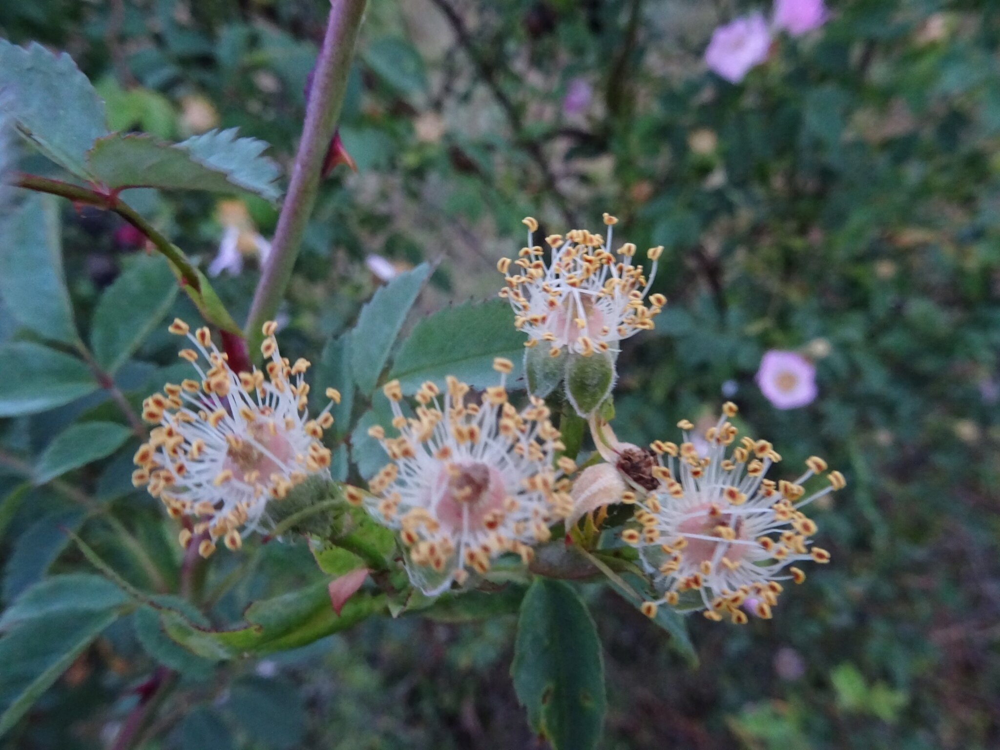 Werden und Wachsen ! - Lutherstadt Wittenberg