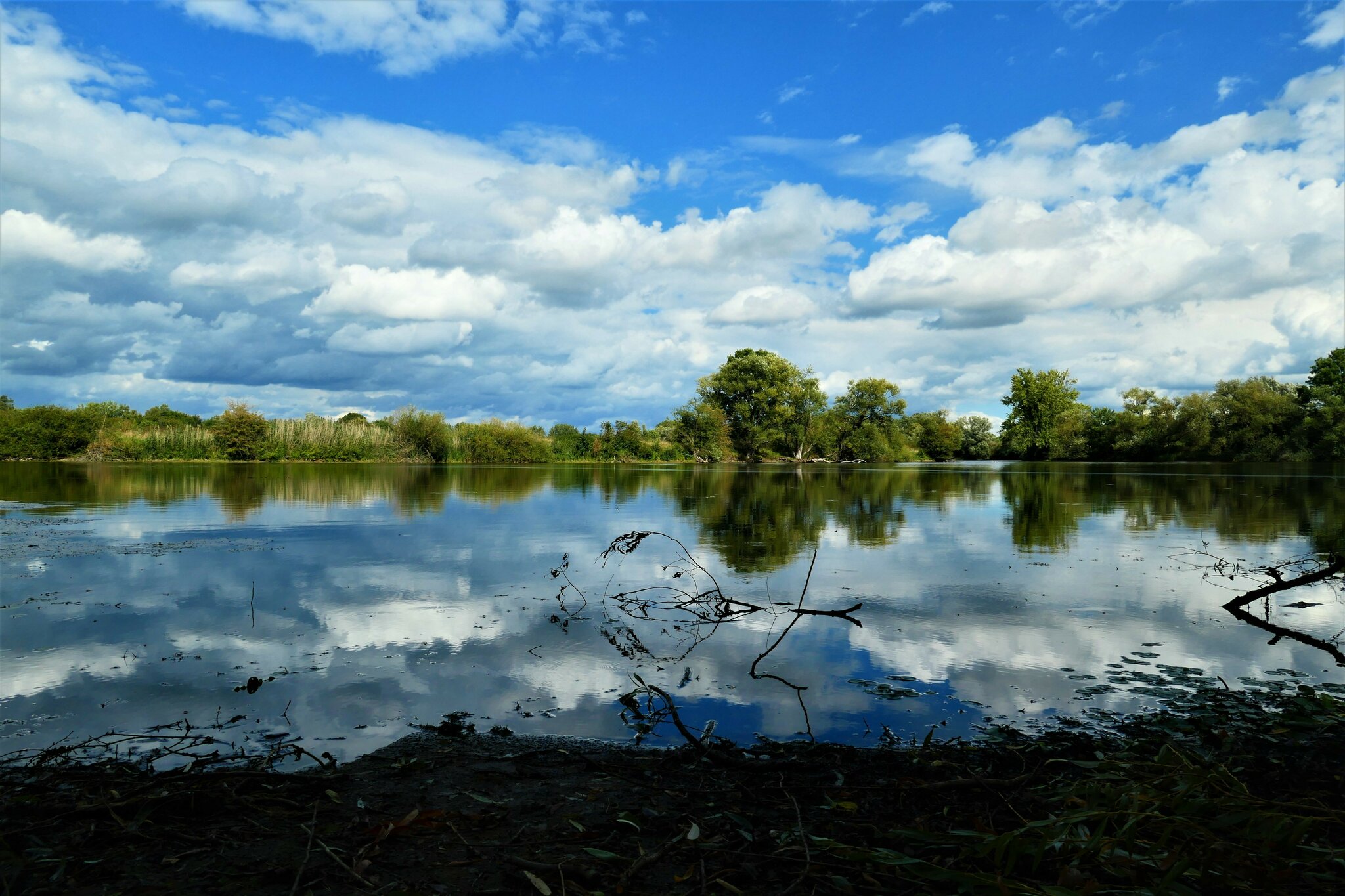 Leinemasch - Laatzen