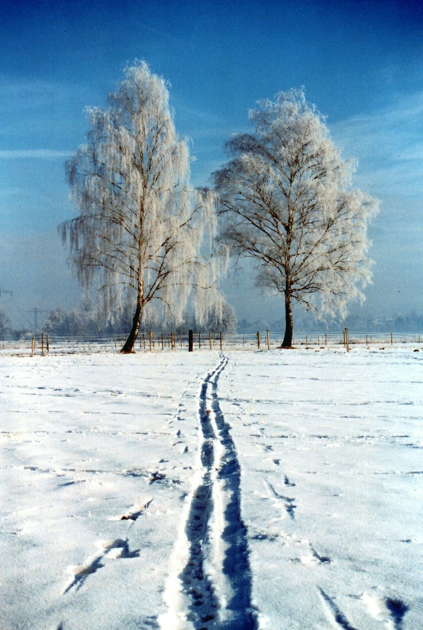 Wann wird's mal wieder richtig Winter? - Neusäß