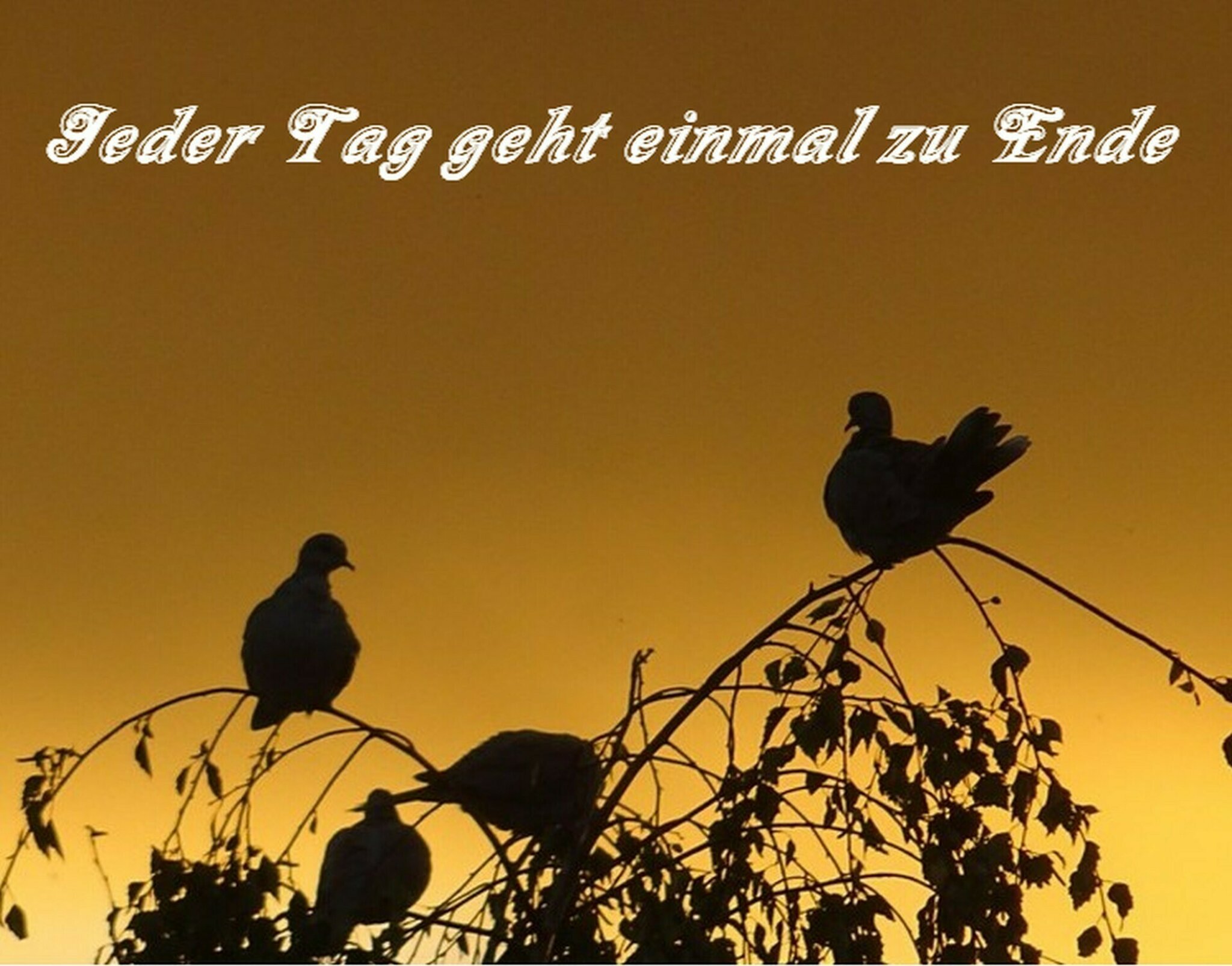 Der Tag Geht Zu Ende Bilder