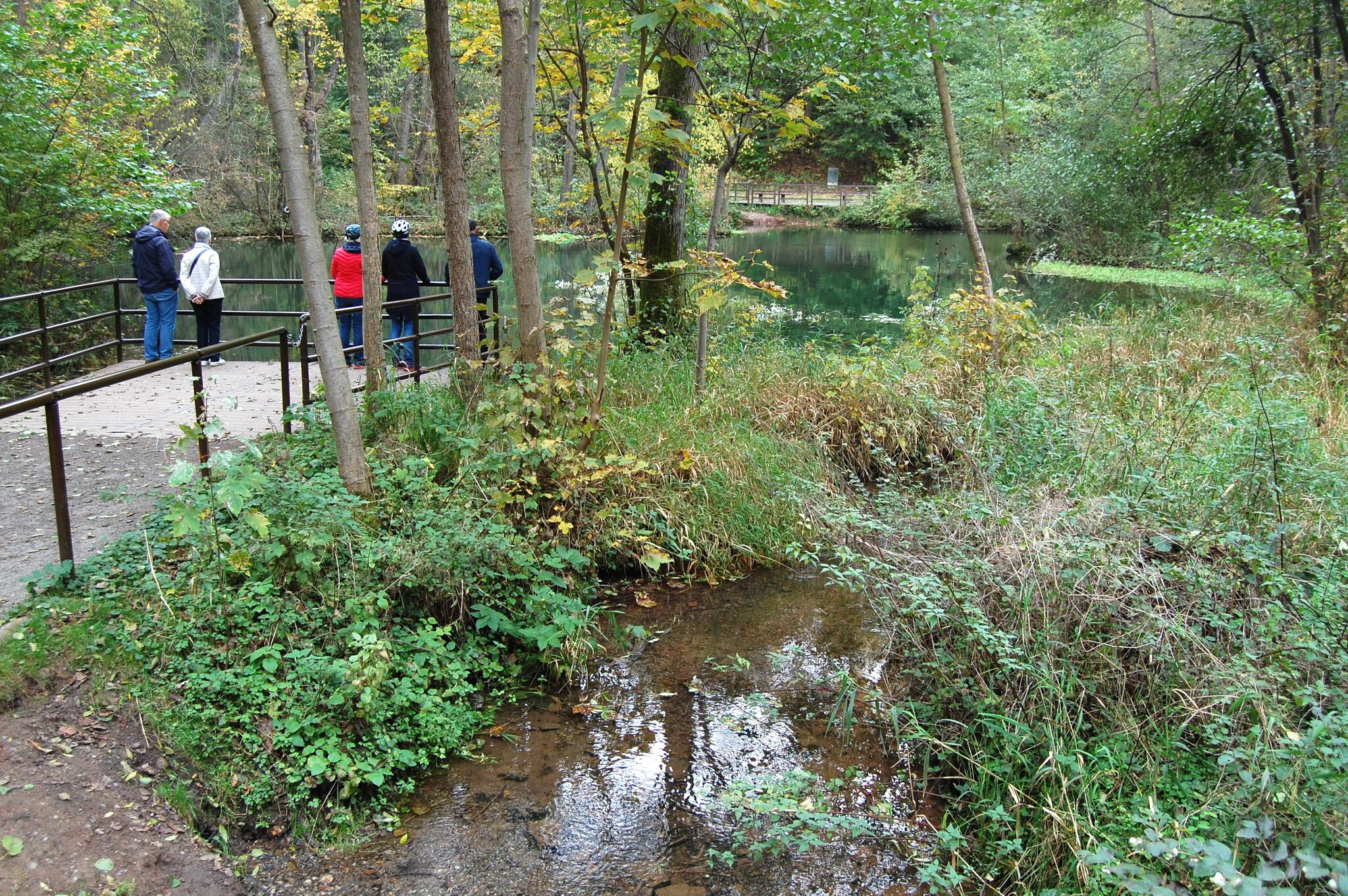 Die Rhumequelle am südlichen Harzrand – die drittgrößte Quelle ...