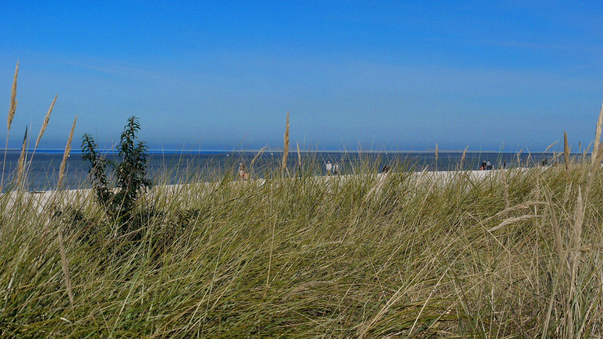 Am Strand von Timmendorf auf der Ostseeinsel Poel - Insel Poel